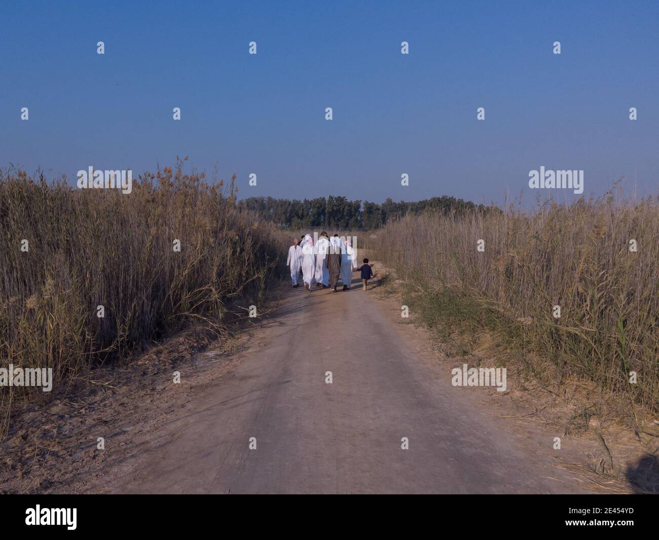 Dessert wild plants and nature | Spectacular Landscape View at Al ...