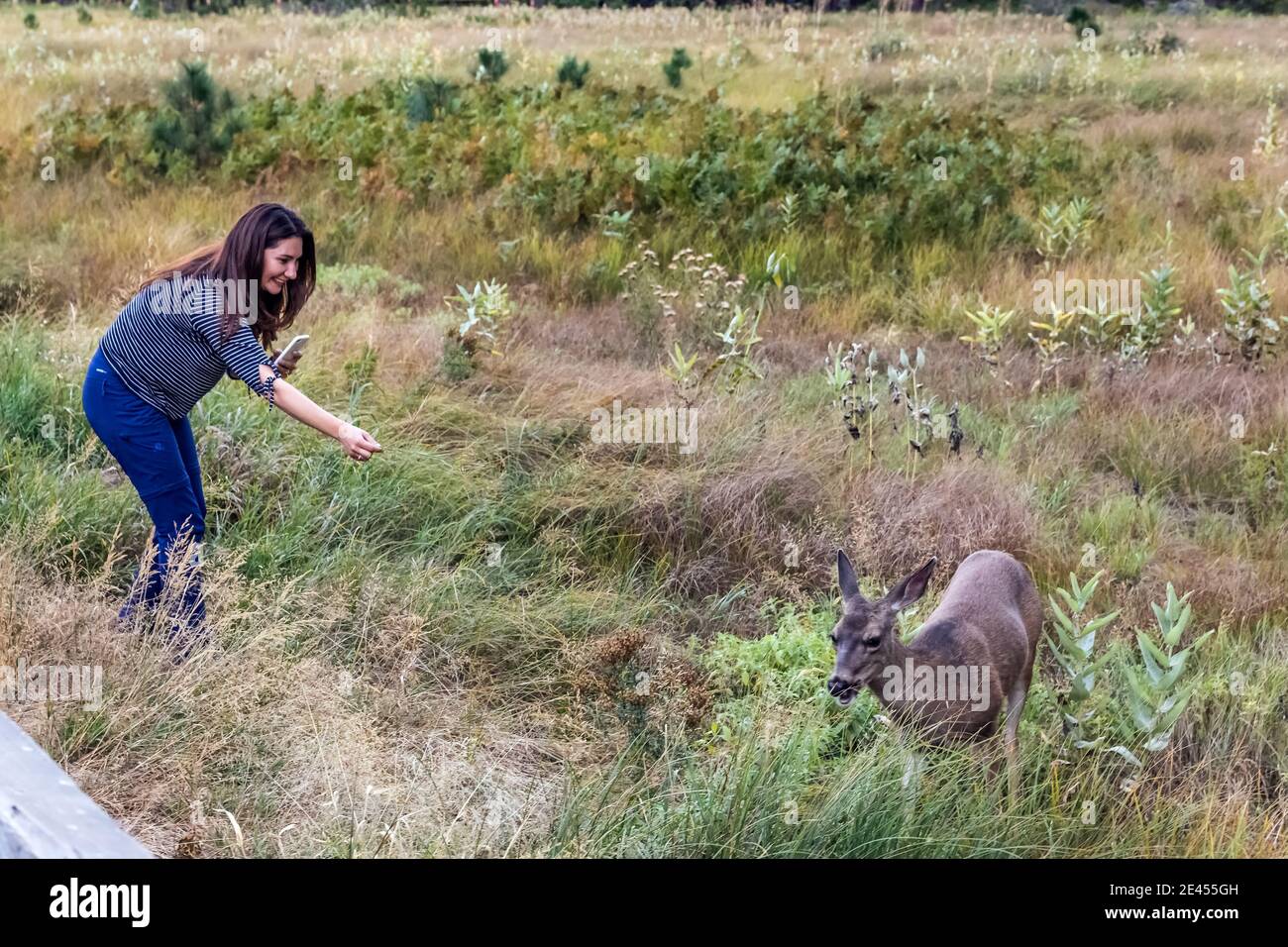USA national parks editorial Stock Photo - Alamy