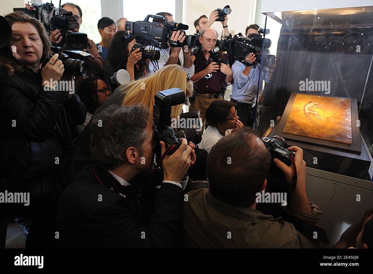 Fossile de primate hi-res stock photography and images - Alamy