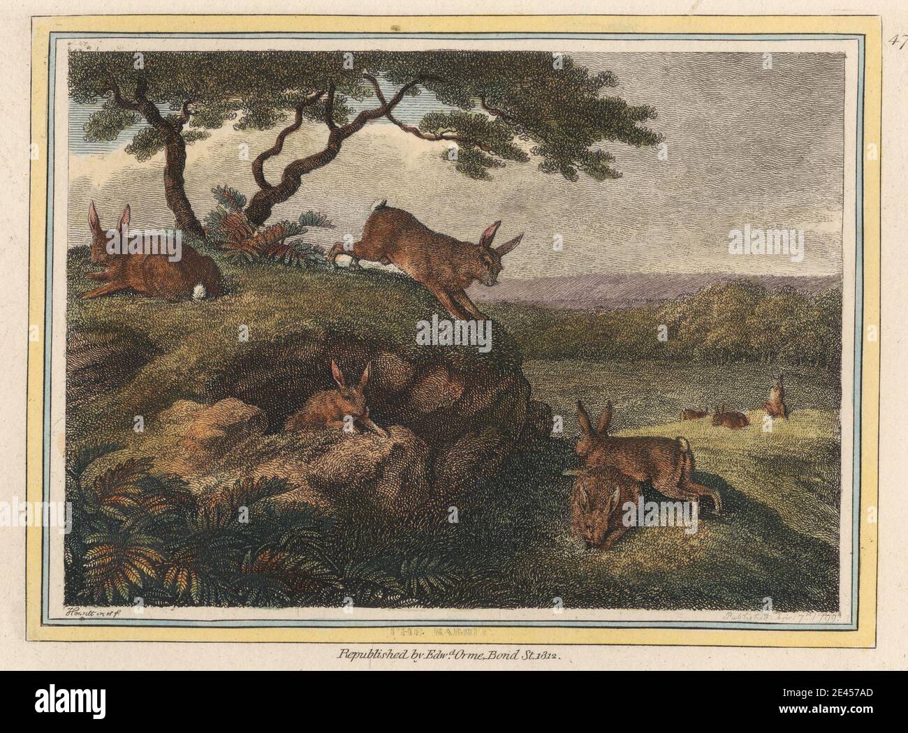 Print made by Samuel Howitt, 1756â€“1822, British, The Rabbit, 1812 ...