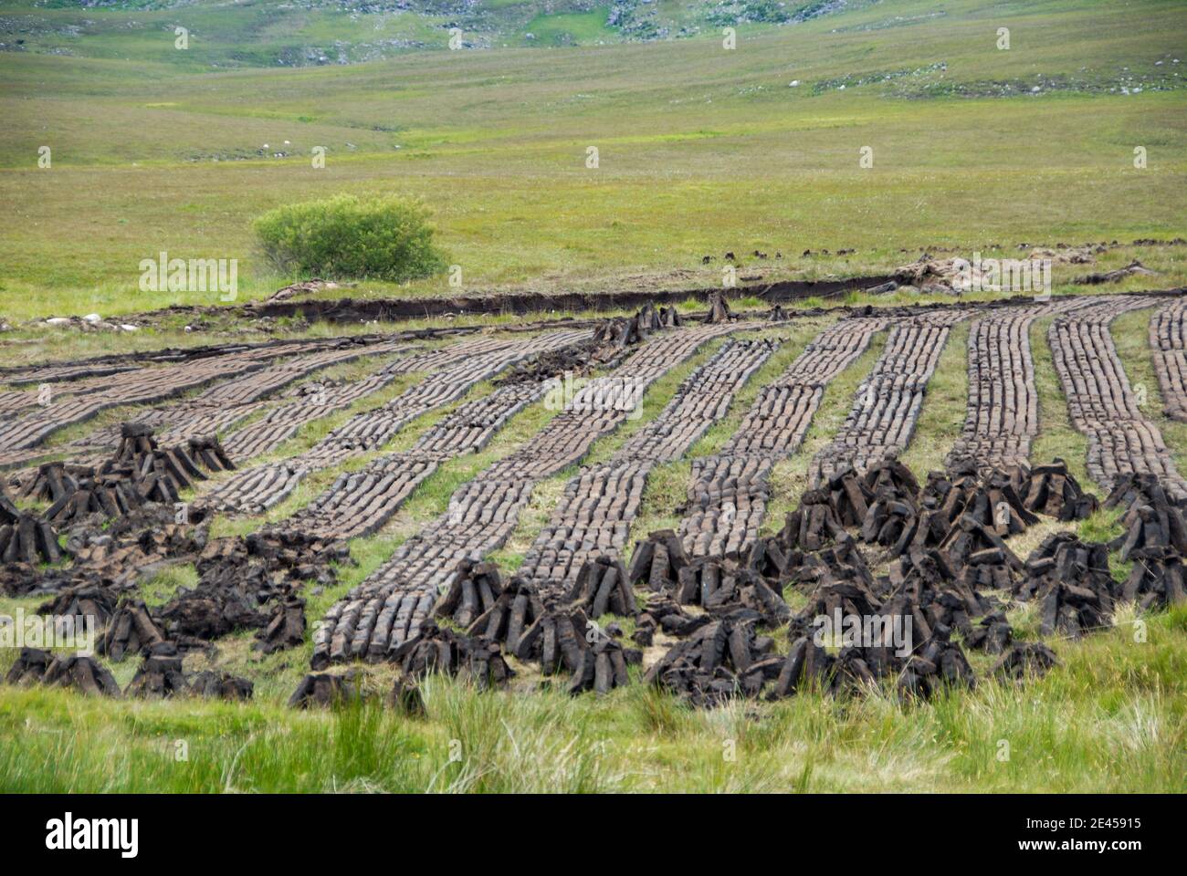 Peat harvesting hi-res stock photography and images - Alamy