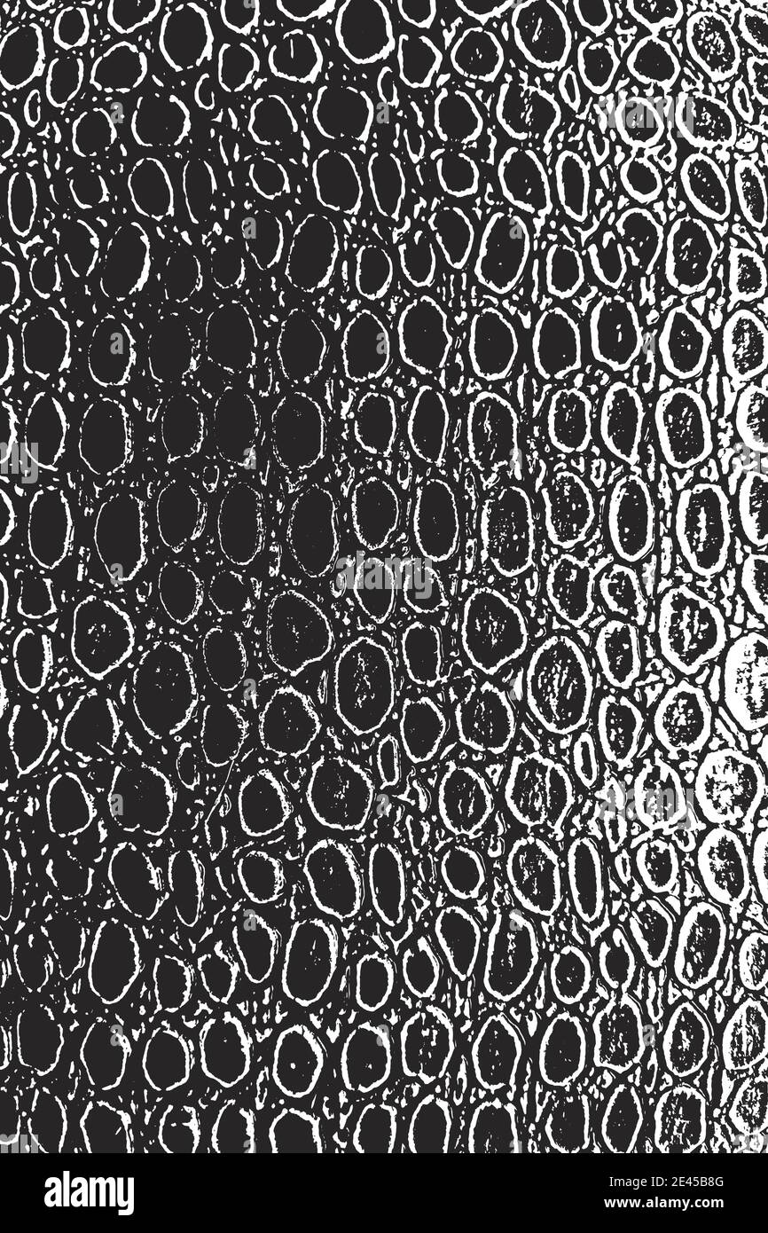 Distressed skin Stock Vector Images - Alamy