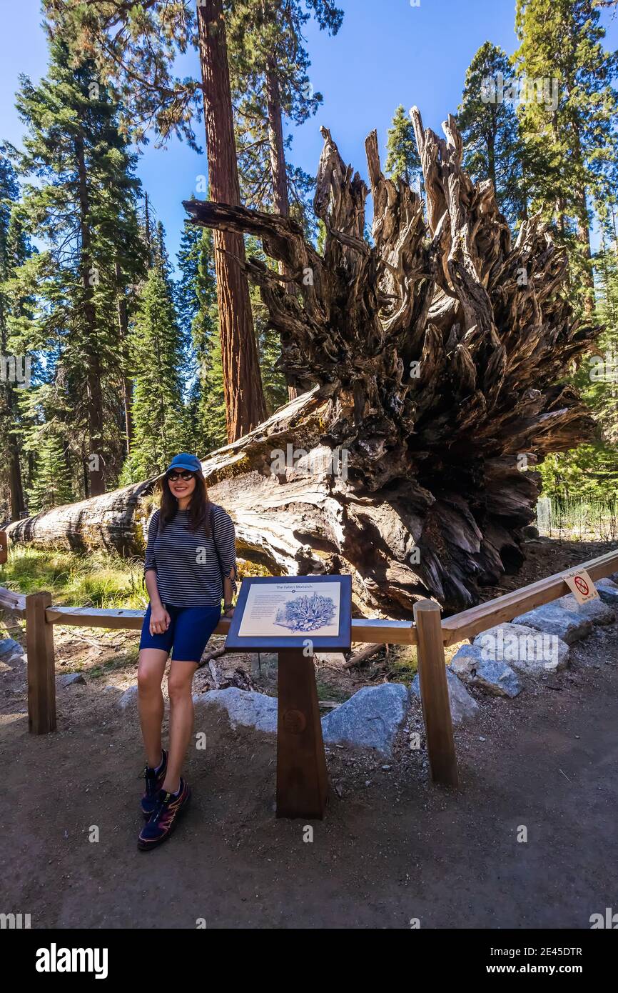 Usa national parks editorial hi-res stock photography and images - Alamy