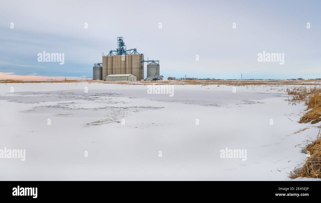 Inland grain terminal at Carseland, Alberta, Canada Stock Photo - Alamy
