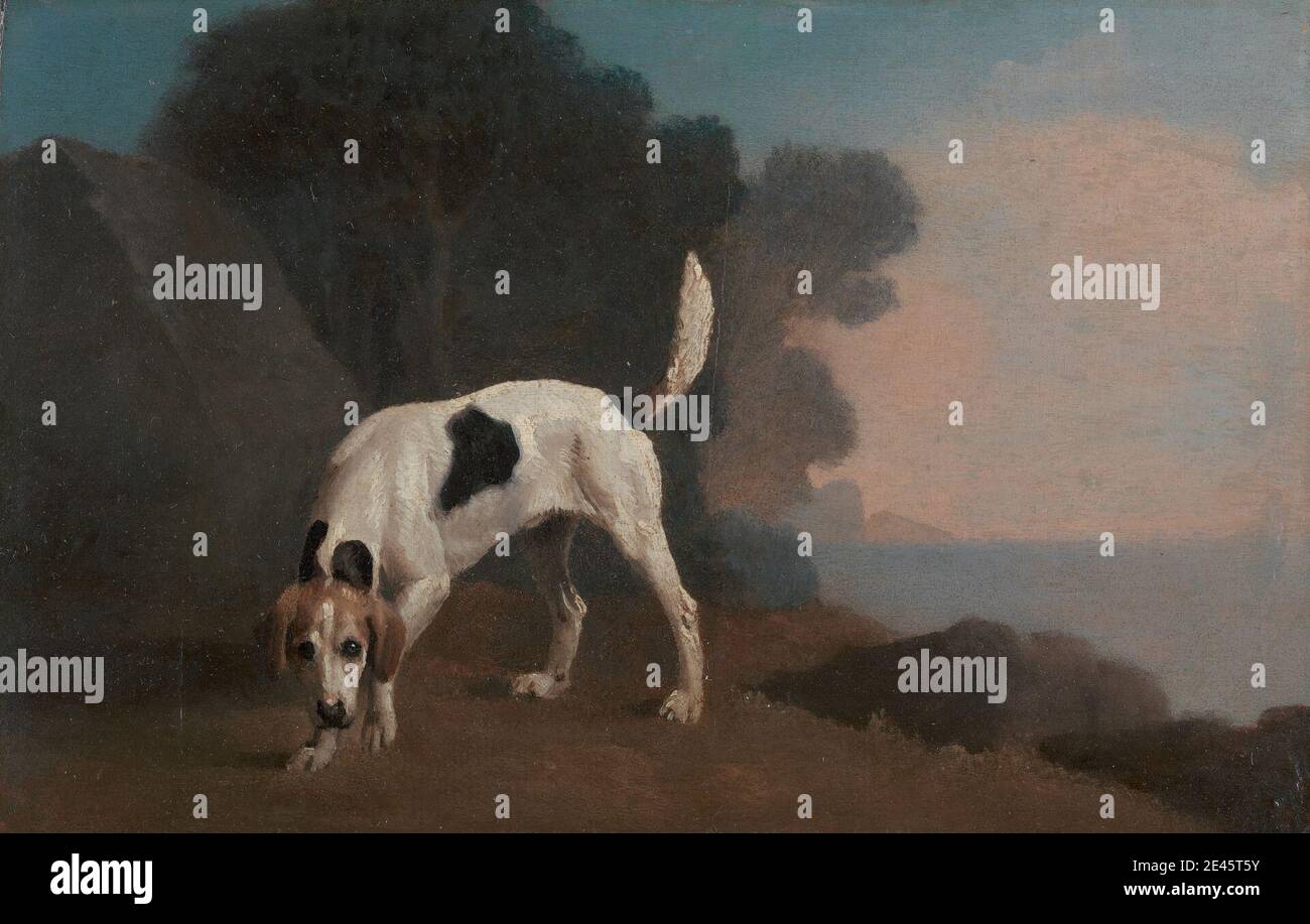George Stubbs, 1724â€“1806, British, Foxhound, ca. 1760. Oil on paper ...