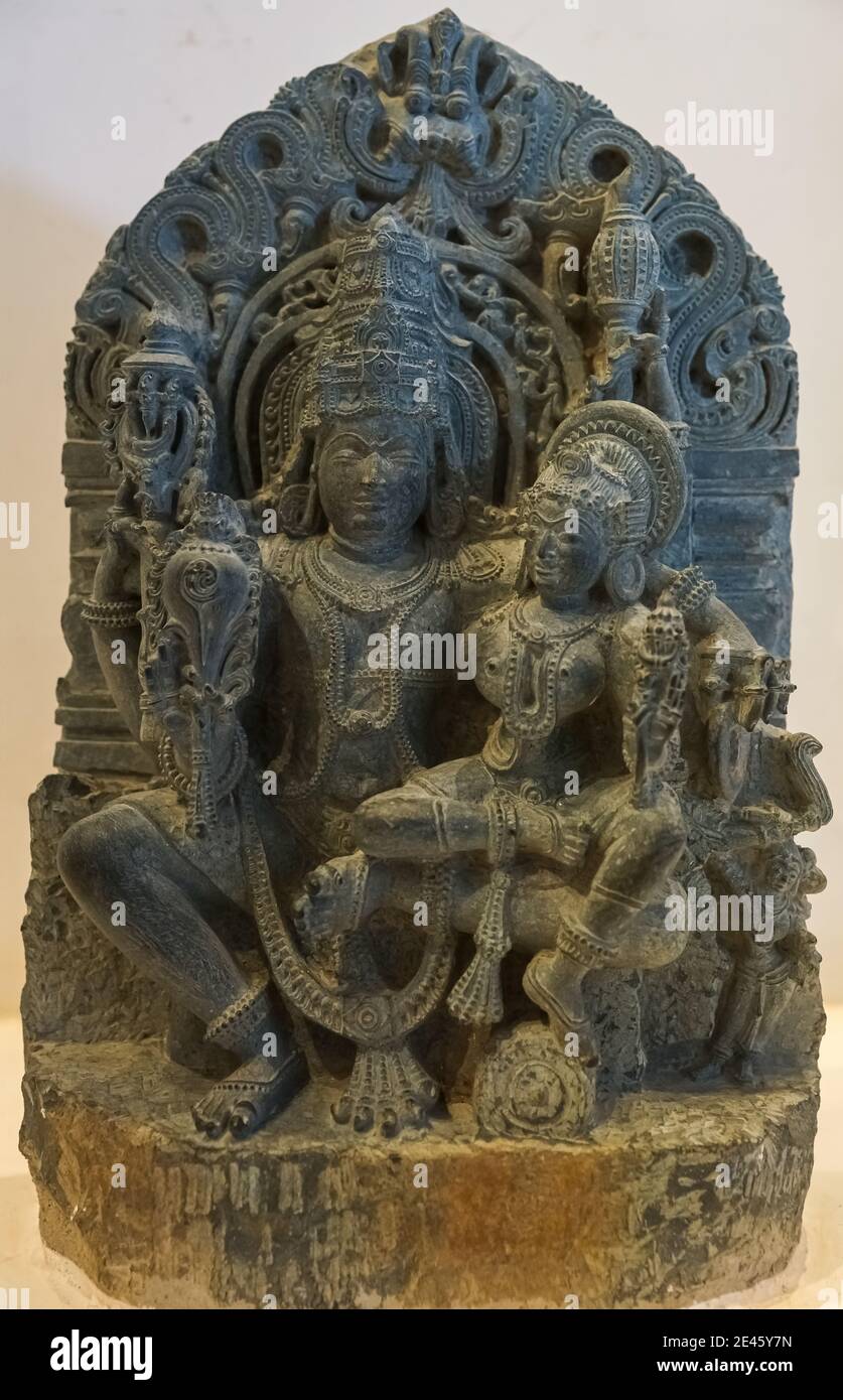 Lakundi, Karnataka, India - November 6, 2013: Closeup of Vishny and ...