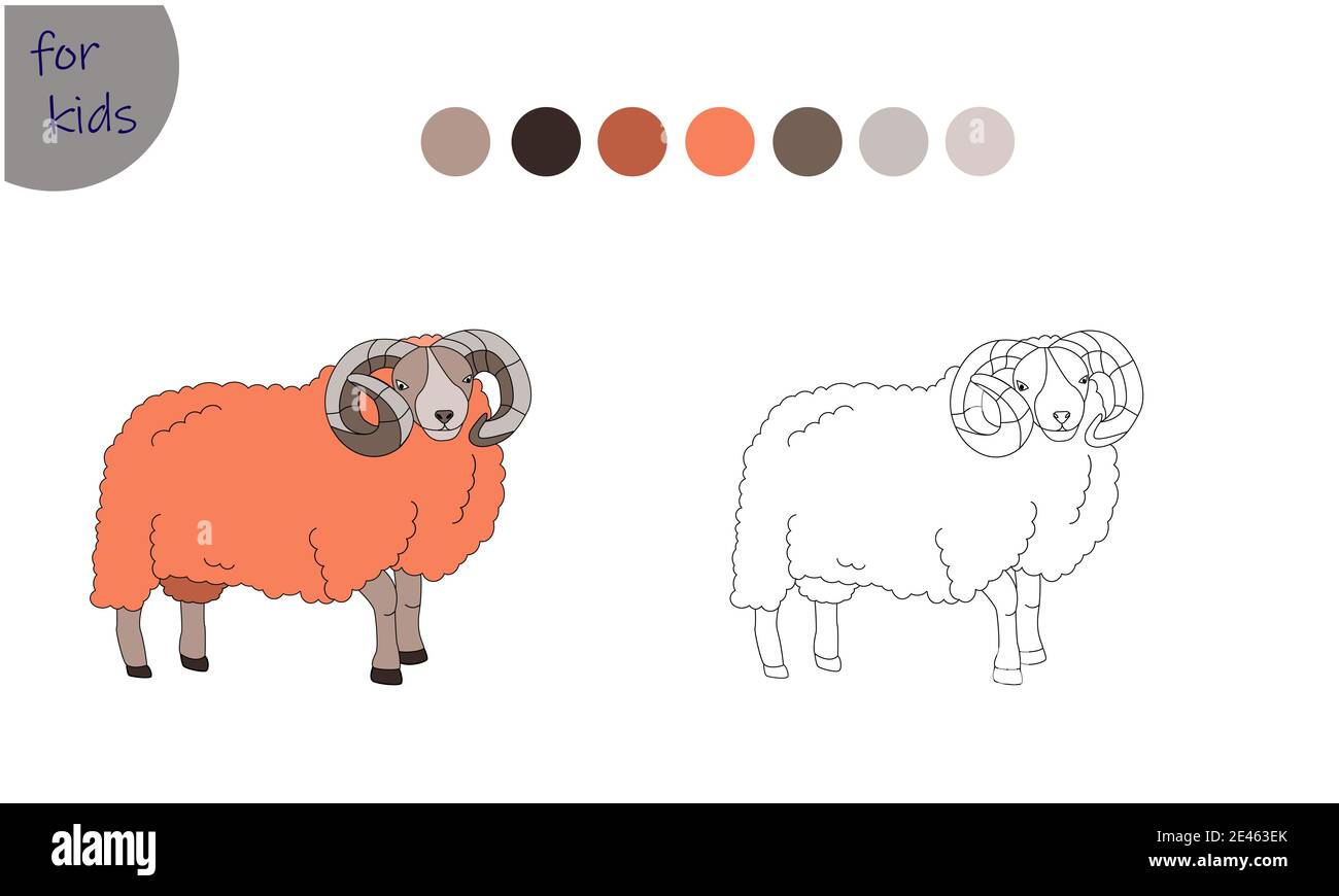 coloring book for kids farm animal ram, coloring book by colors Stock ...