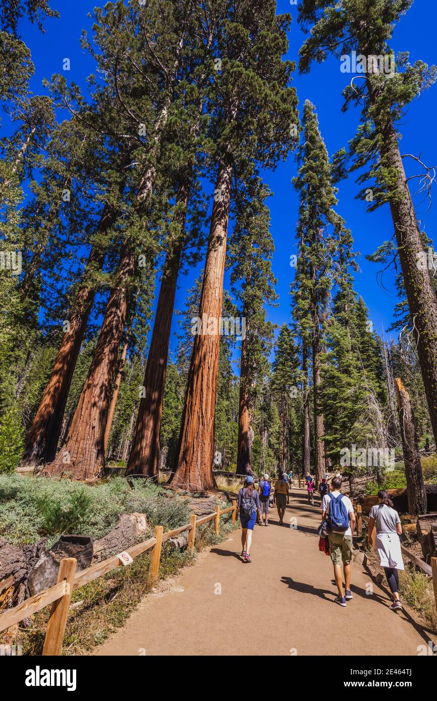 USA national parks editorial Stock Photo - Alamy
