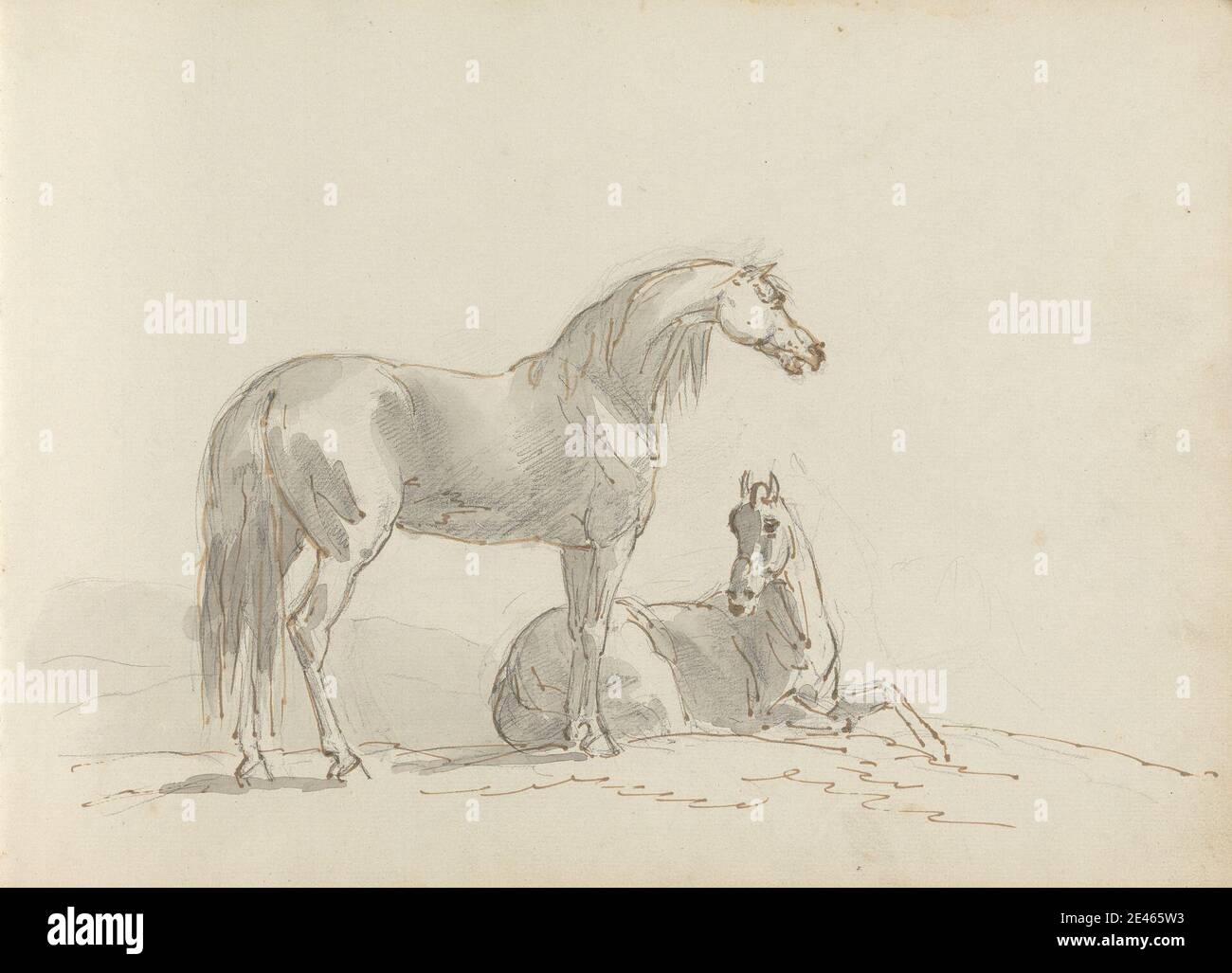 1807 animalia hi-res stock photography and images - Alamy