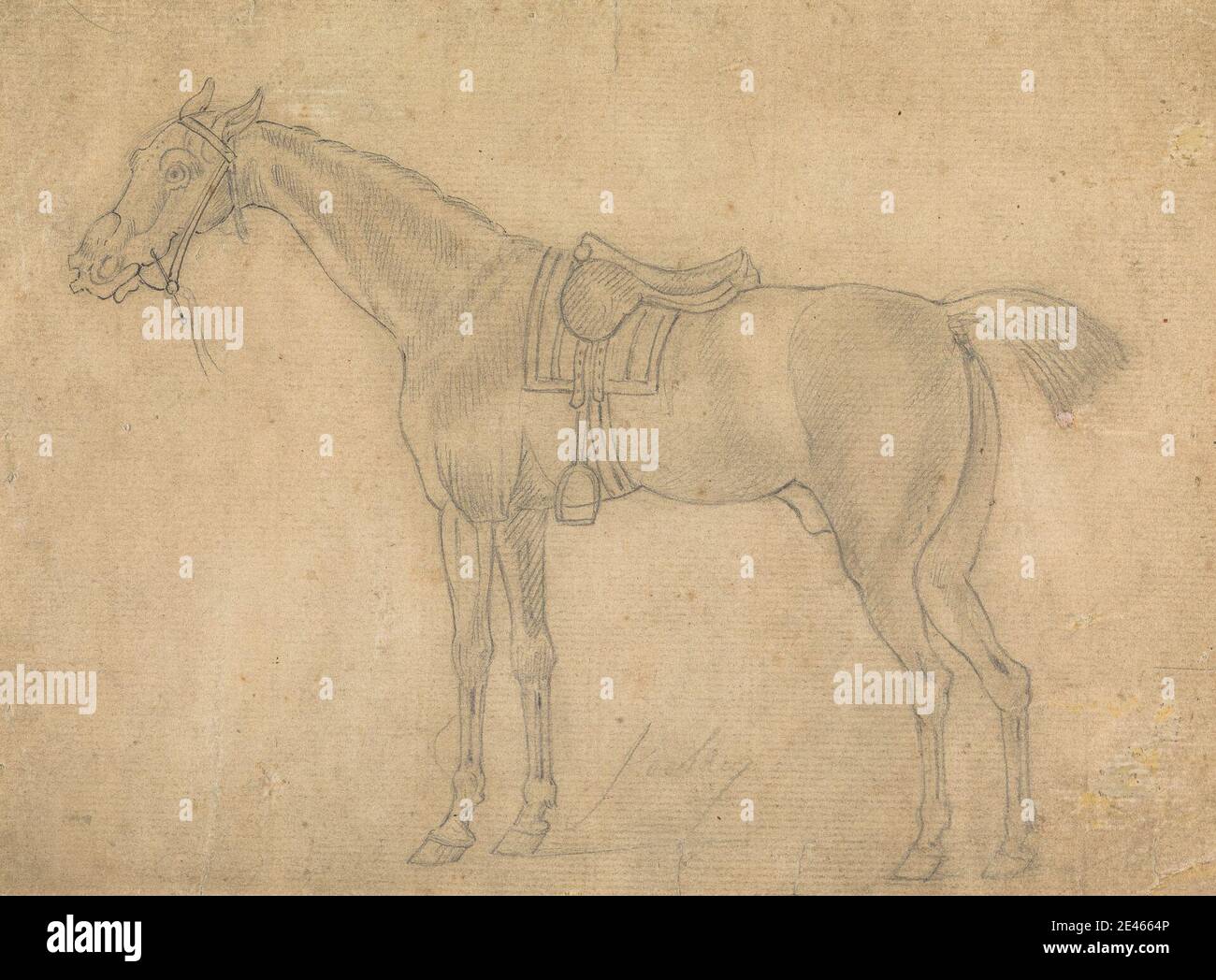 Saddled horse facing left hi-res stock photography and images - Alamy