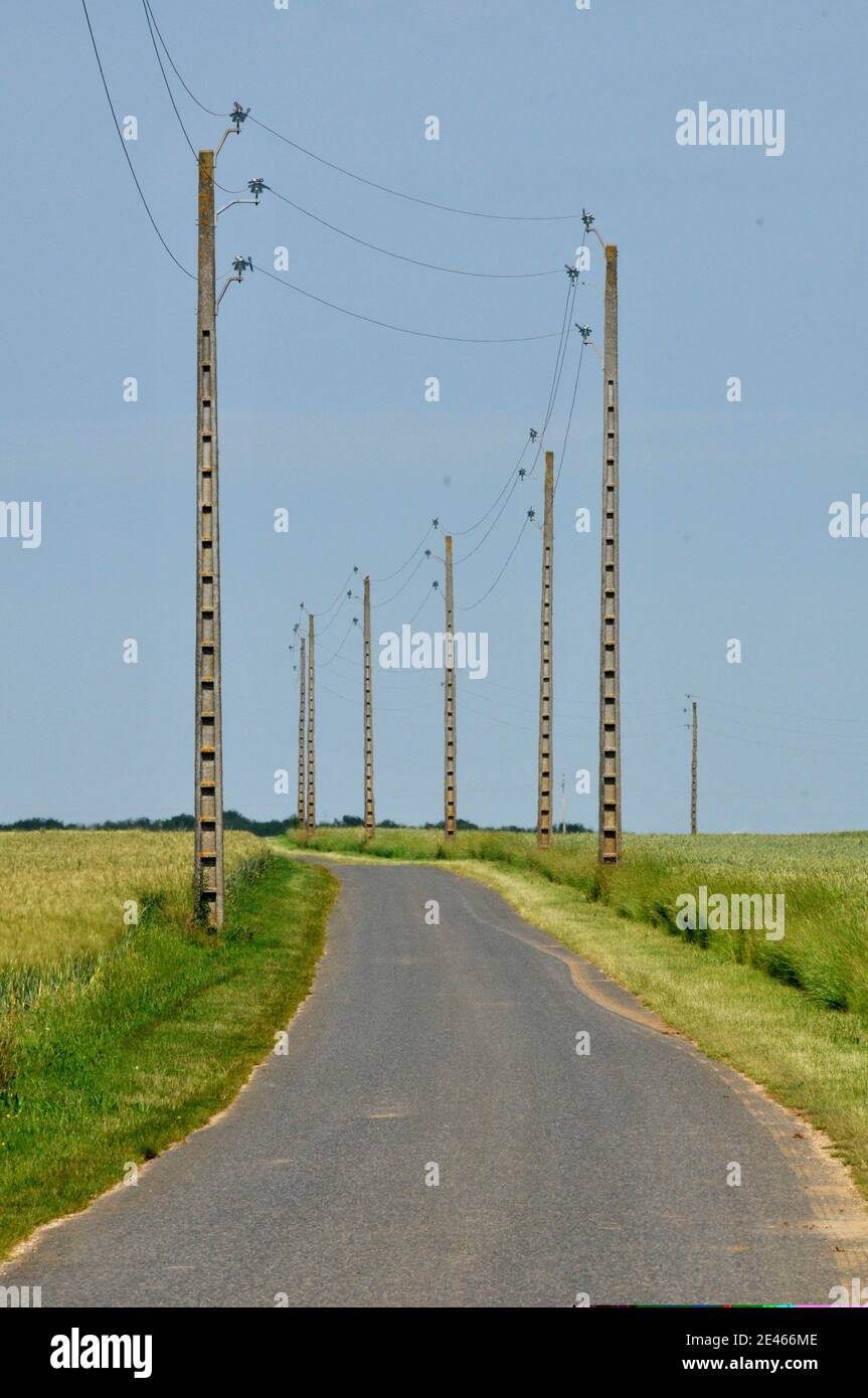 Electric pylones at the Electricite de France (EDF) in France. Photo by ...