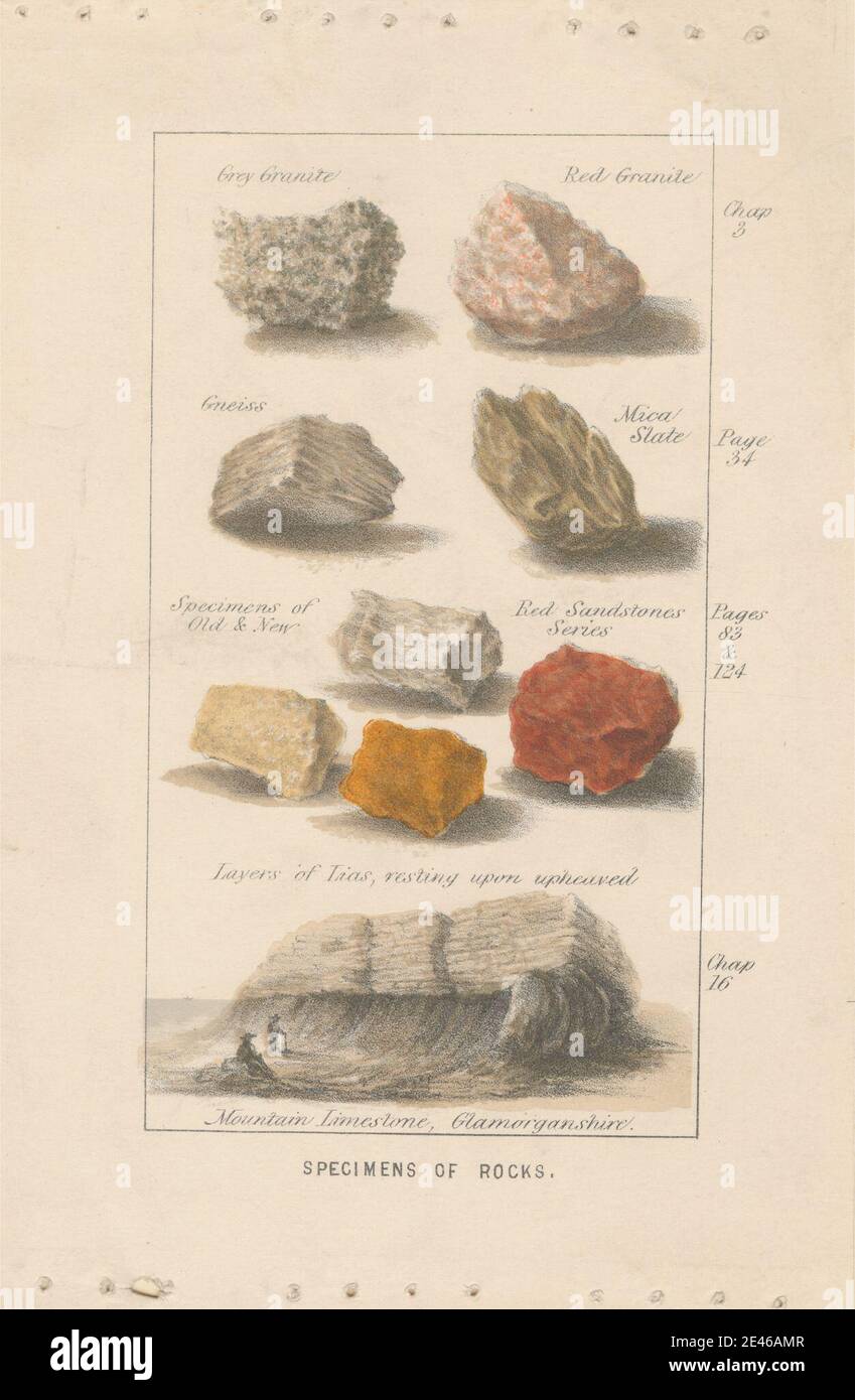 Bradshaw & Blacklock, active ca.1850, British, Specimens of Rocks ...