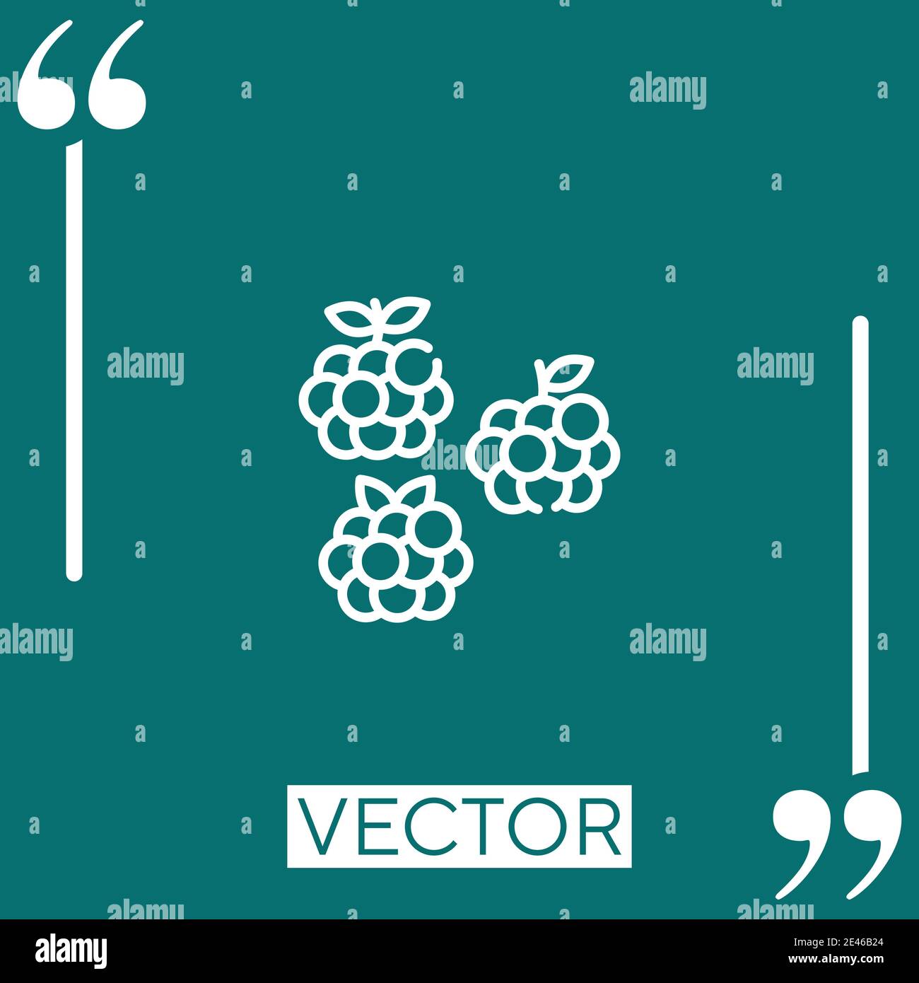 Blueberry blackberry line white Stock Vector Images - Alamy