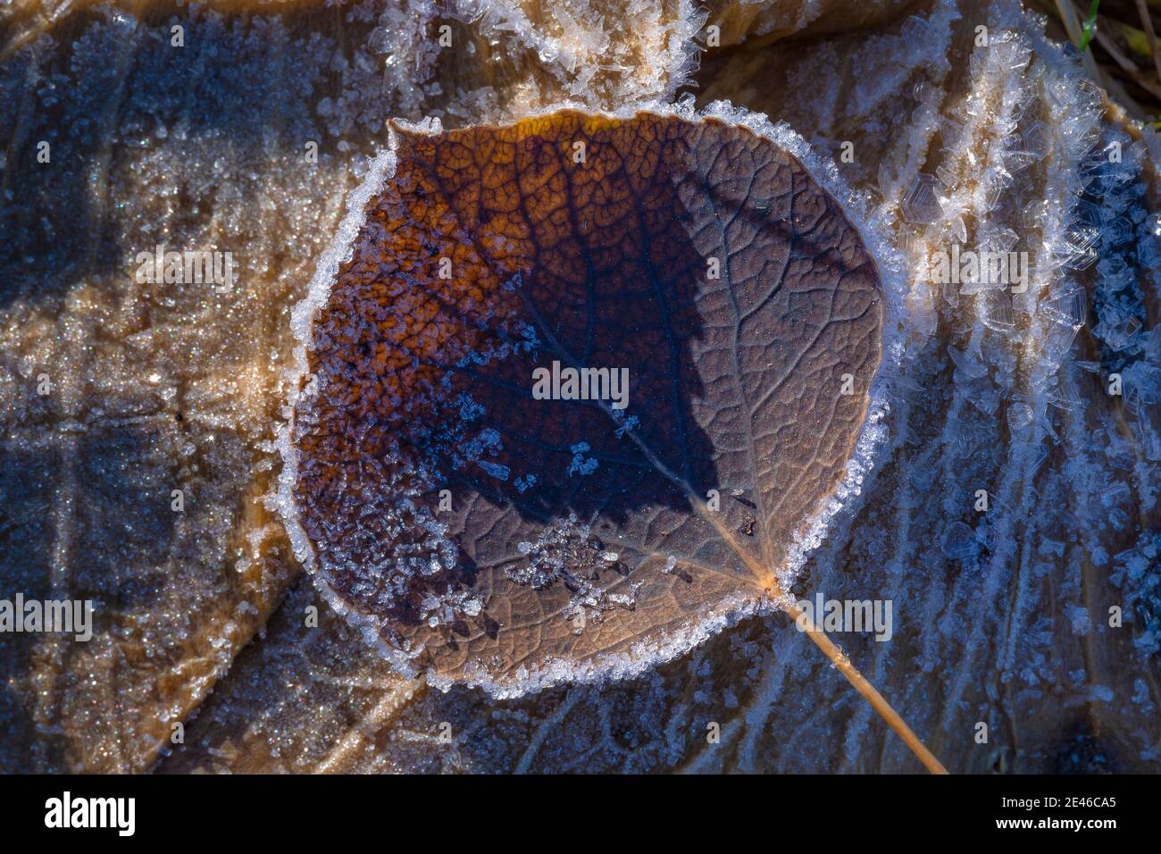 Desert ice block hi-res stock photography and images - Alamy