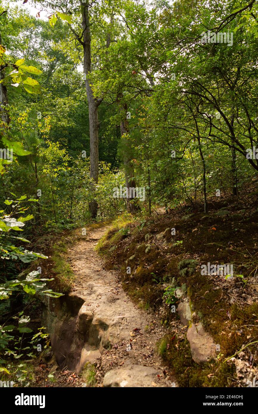 Hiking Trail in Bell Smith Springs. Shawnee National Forest, Illinois ...