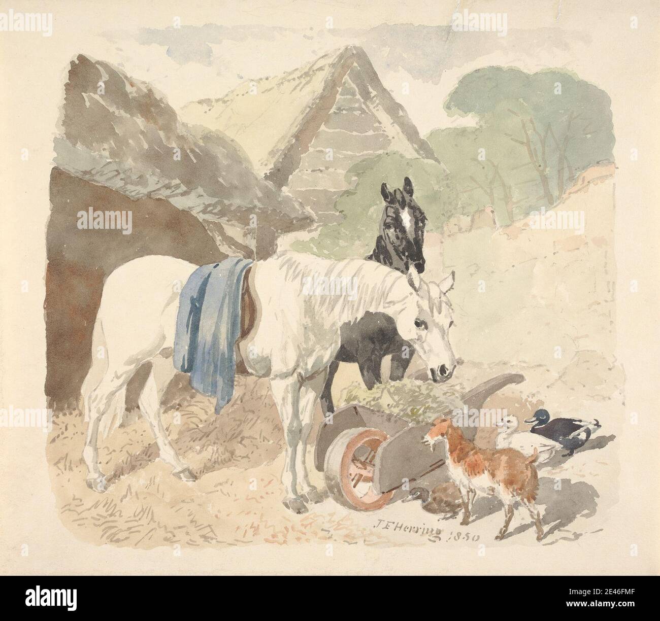 Goat eating paper hi-res stock photography and images - Alamy