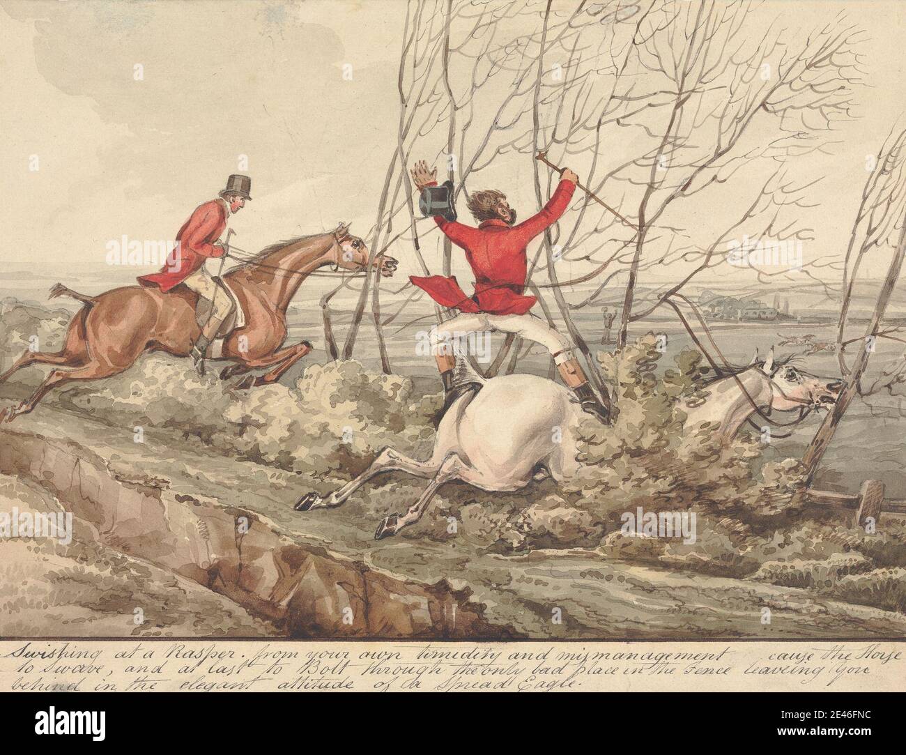 Black horse jumping trees hi-res stock photography and images - Alamy