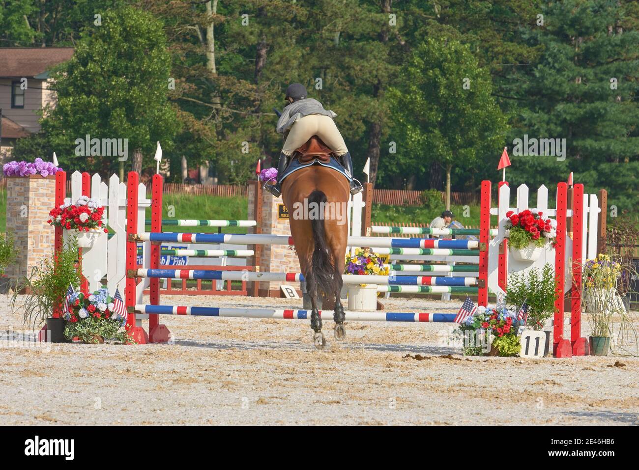 horse and rider clearing obstacle Stock Photo - Alamy