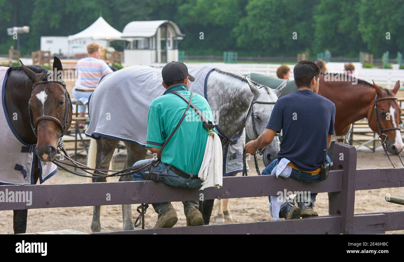 horse handlers/stable boys Stock Photo - Alamy