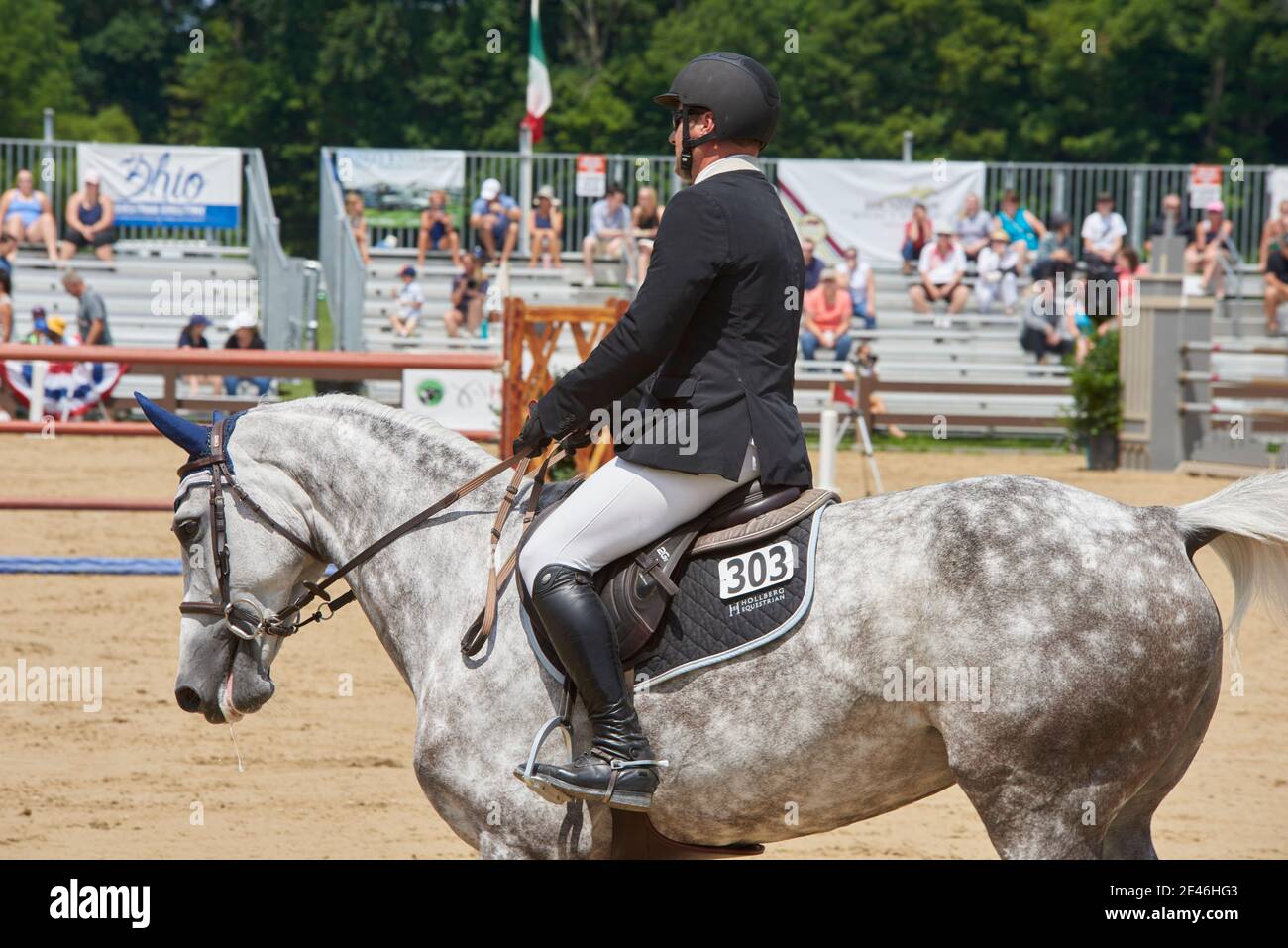 Rider and horse in arena Stock Photo - Alamy