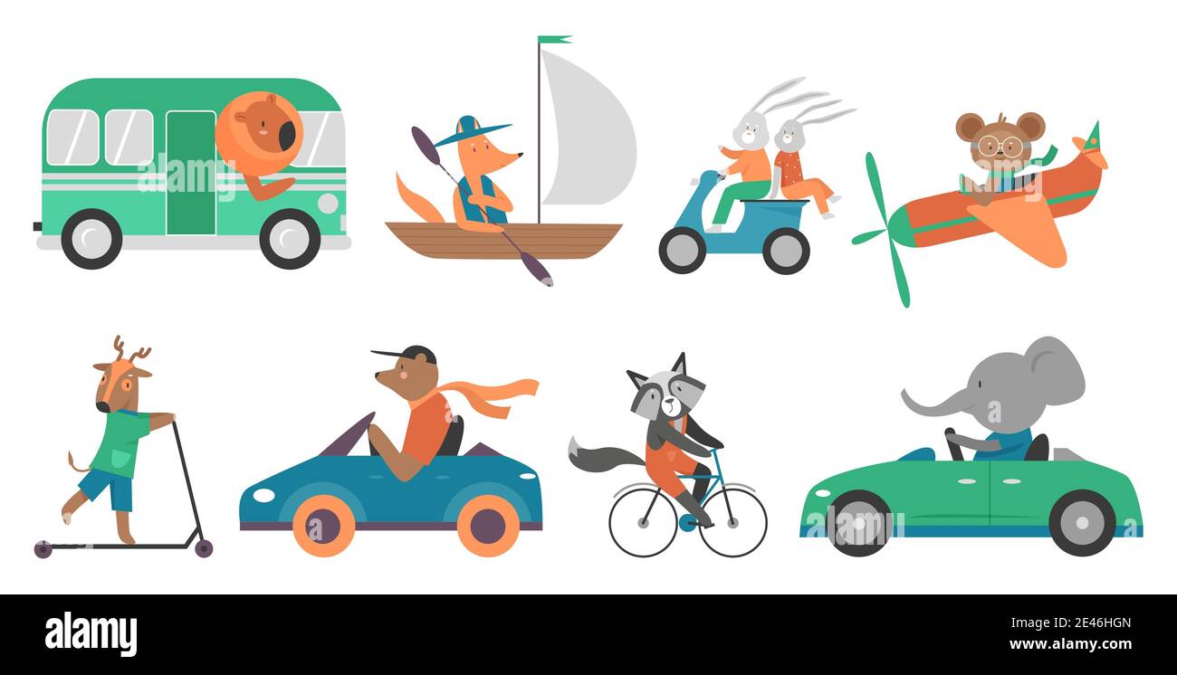 Cute animals in speed transport vector illustration set. Cartoon funny ...