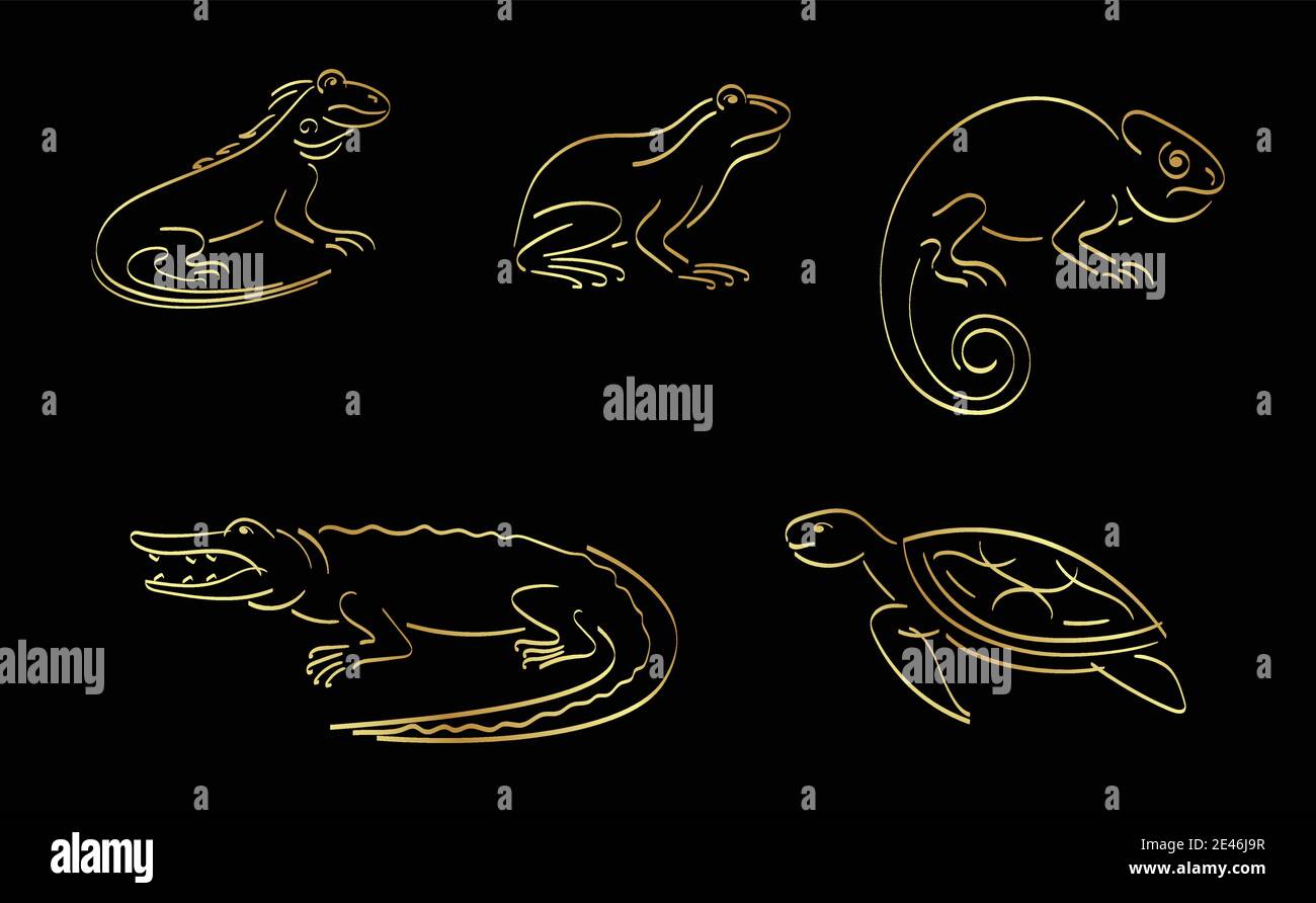 Golden outline set of crocodile, turtle, chameleon, lizard, frog Stock ...