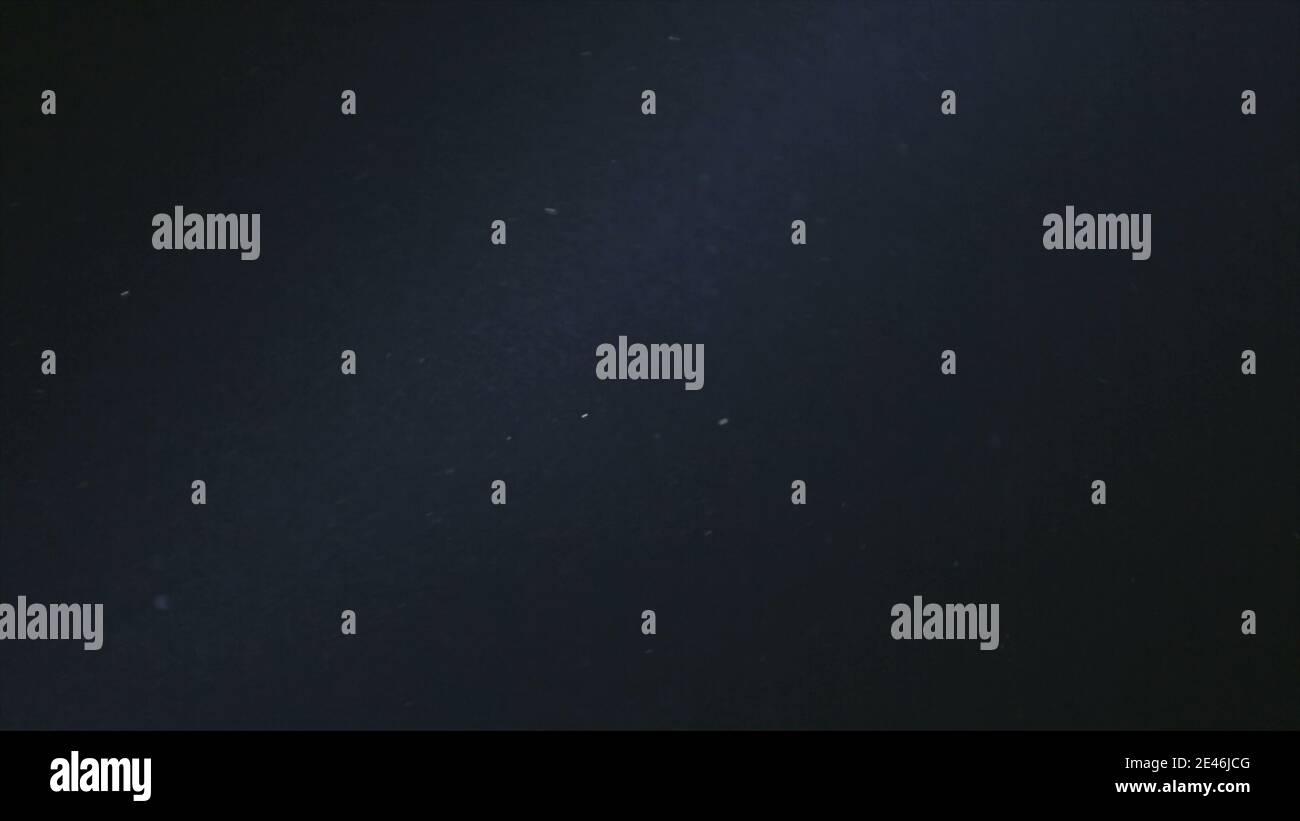 Organic floating dust motes in hi-res stock photography and images - Alamy