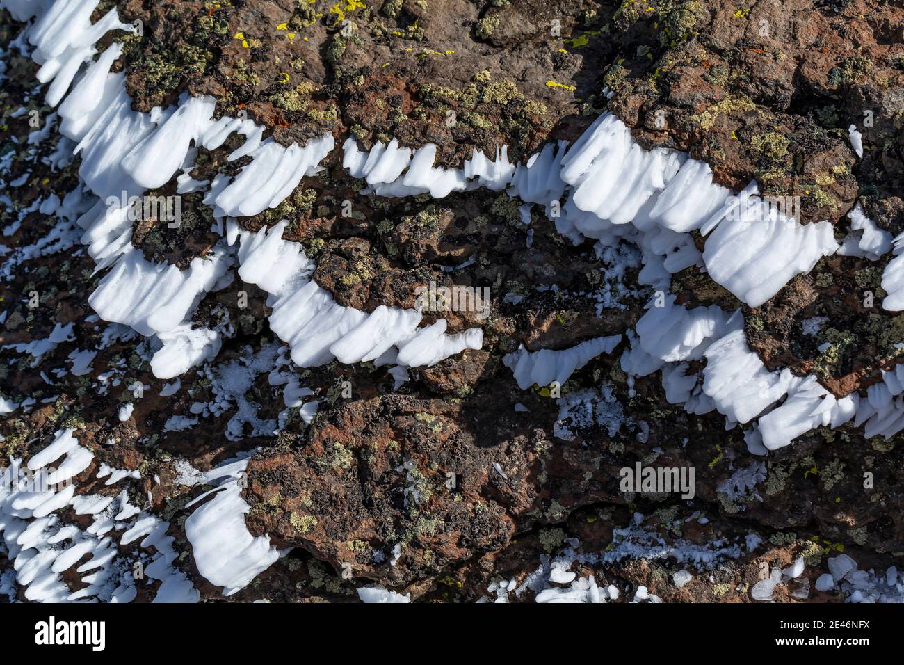 Hard rime ice formed during a freezing fog and wind atop Steens ...