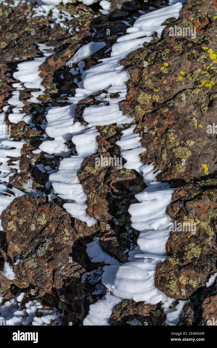 Hard rime ice formed during a freezing fog and wind atop Steens ...