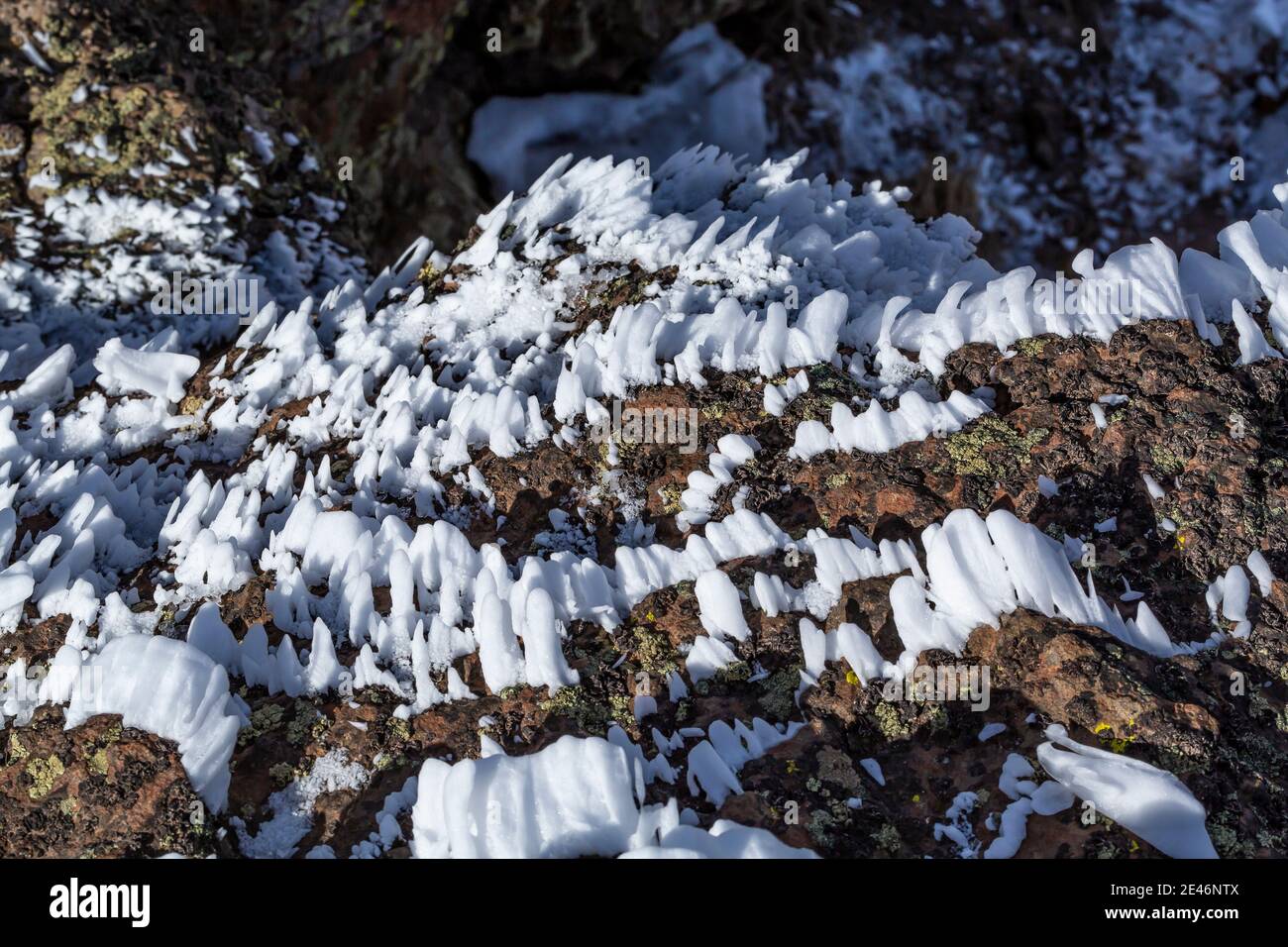 Hard rime ice formed during a freezing fog and wind atop Steens ...