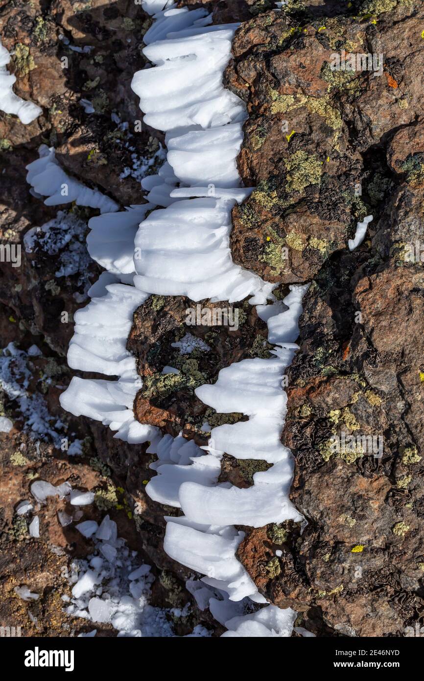 Hard rime ice formed during a freezing fog and wind atop Steens ...
