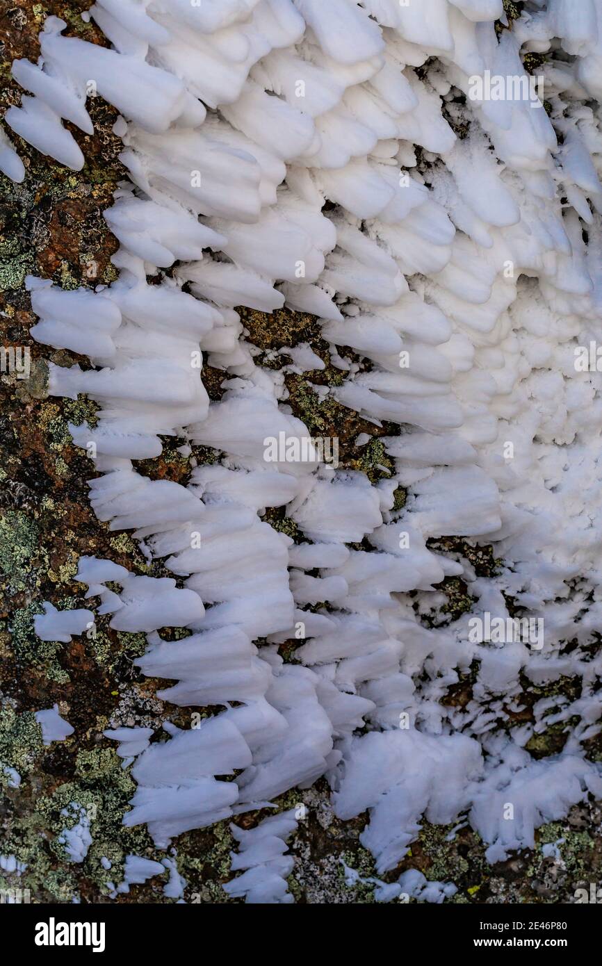 Hard rime ice formed during a freezing fog and wind atop Steens ...
