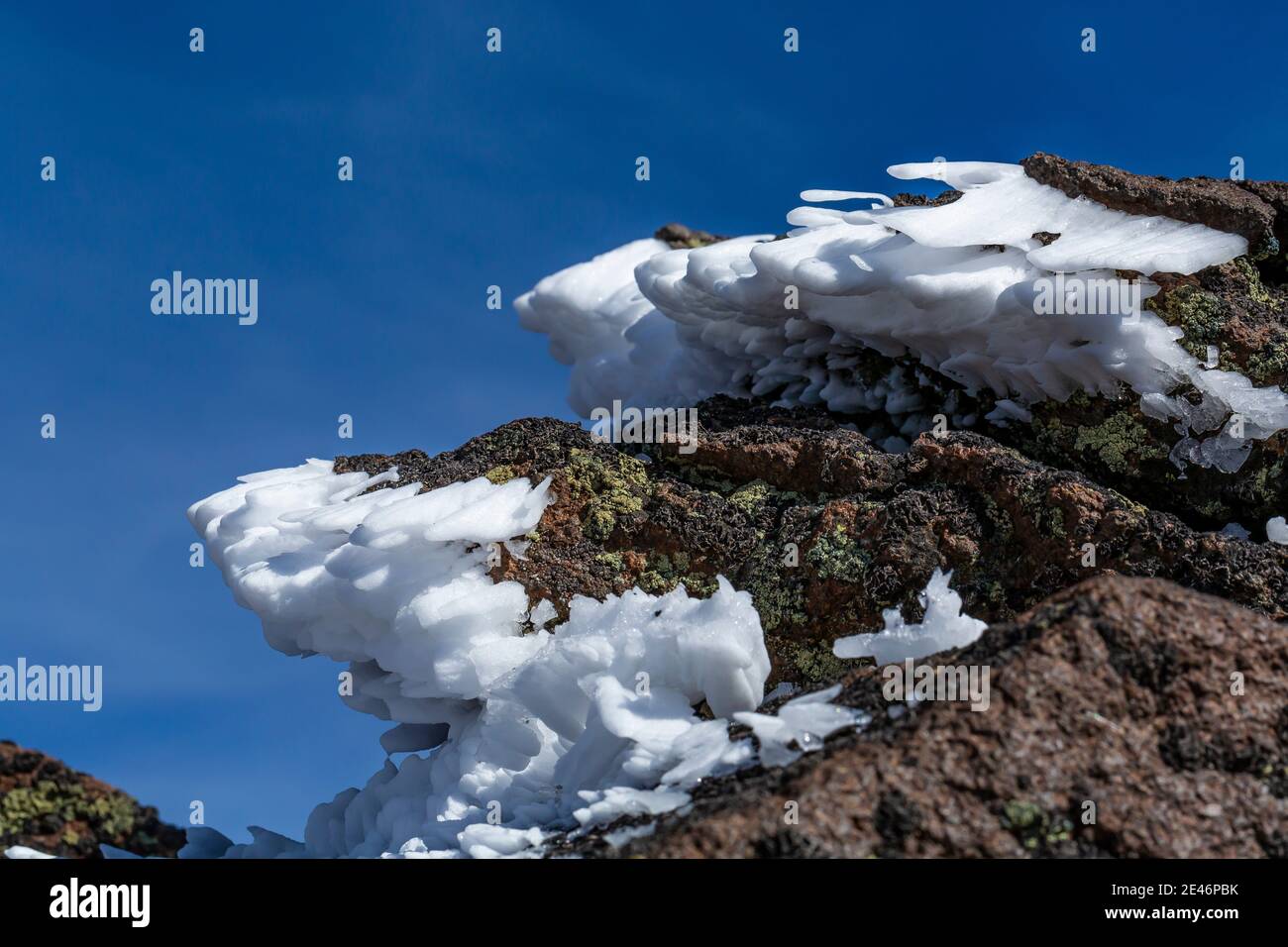 Hard rime ice formed during a freezing fog and wind atop Steens ...
