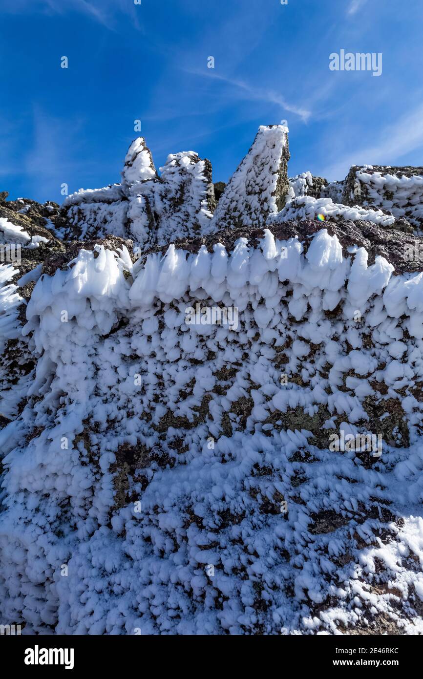 Hard rime ice formed during a freezing fog and wind atop Steens ...