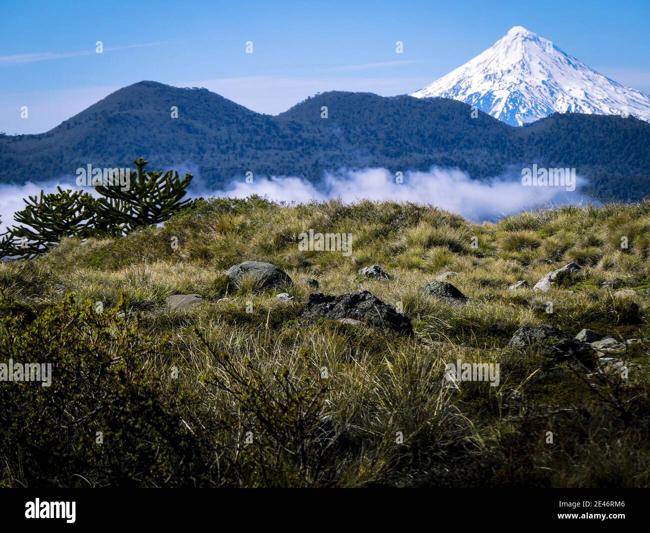 Volcano in southern Chile Stock Photo - Alamy