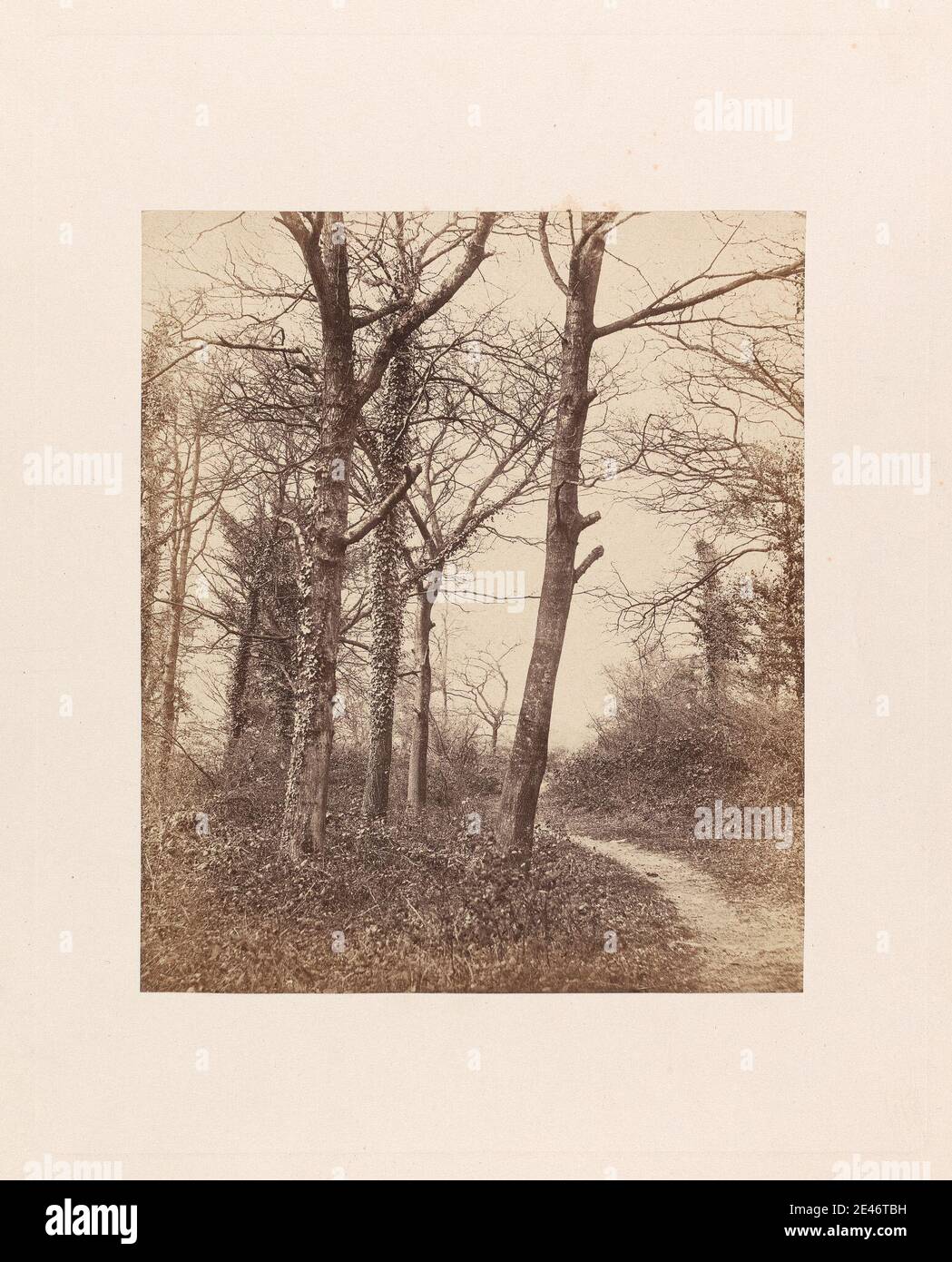 Charles Conway, active 1850s, British, Winter, 1855. Albumen print from ...