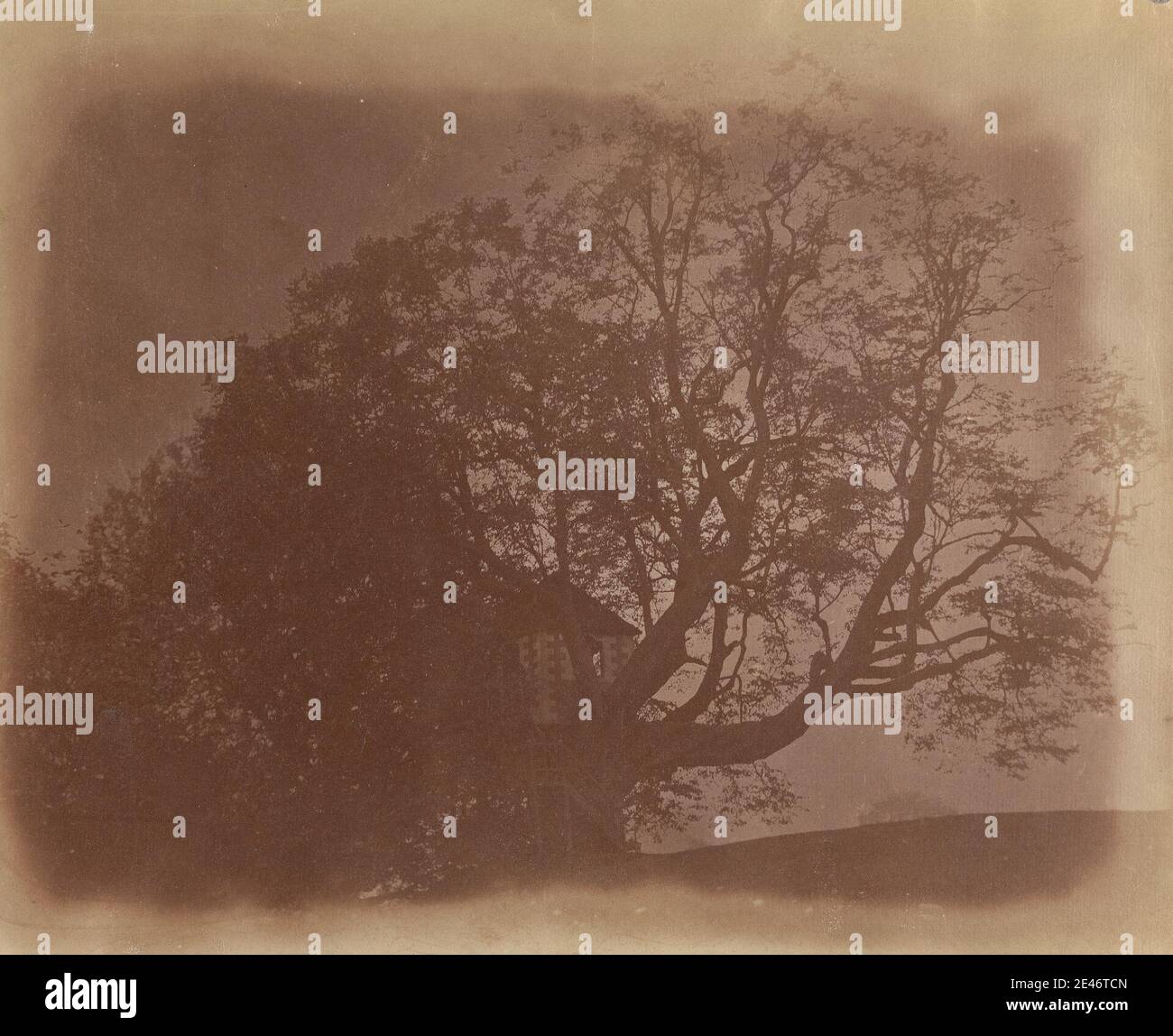 unknown artist, nineteenth century, Treehouse, ca. 1860. Albumen print ...