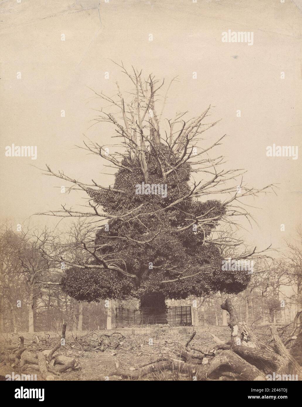 James mudd hi-res stock photography and images - Alamy