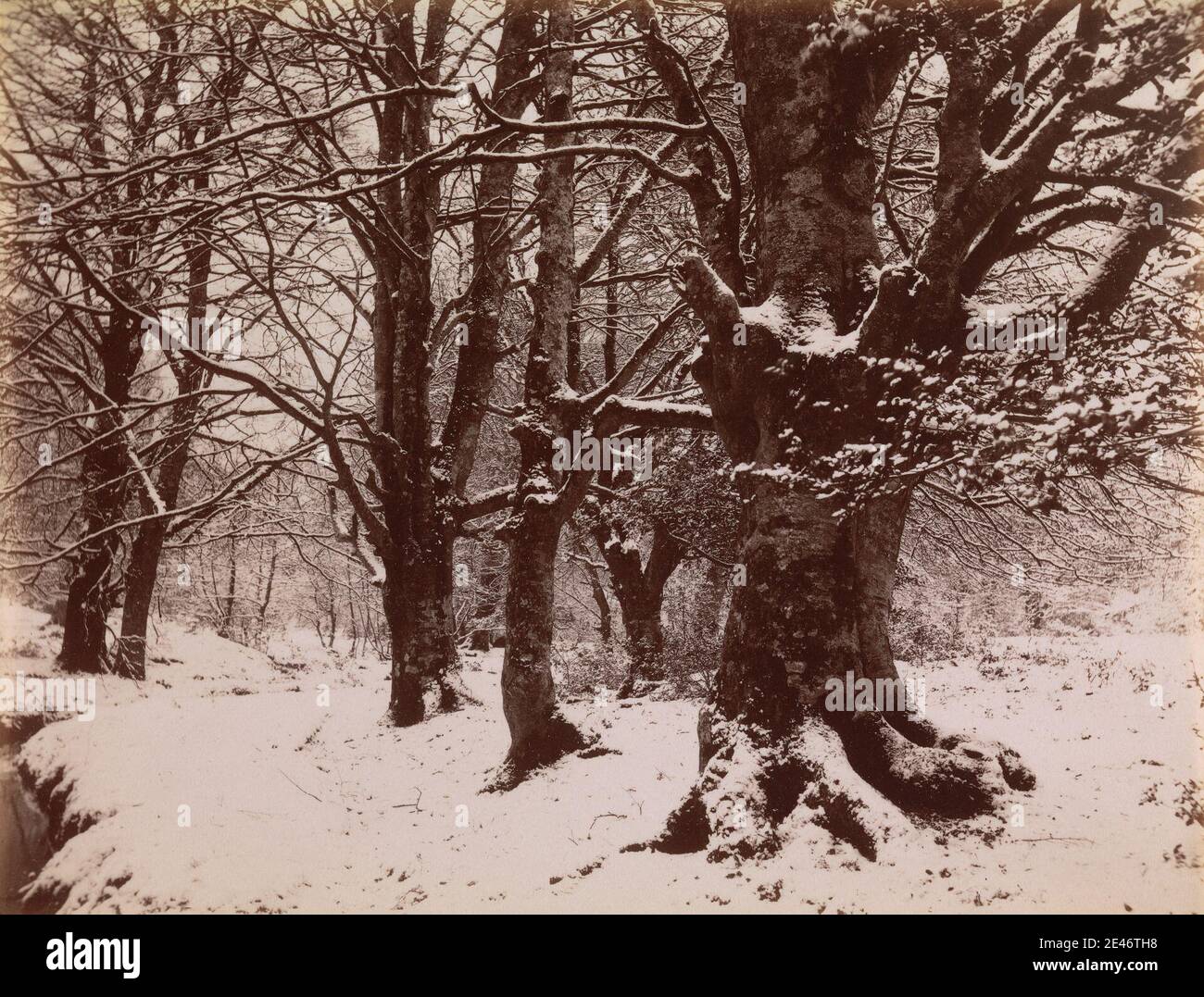 John Golden Short, born ca. 1832, British, Snow and Trees, 1870s ...
