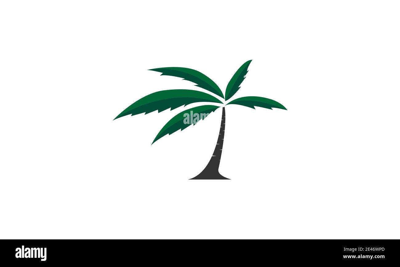 coconut tree or palm tree modern flat logo symbol icon vector graphic ...