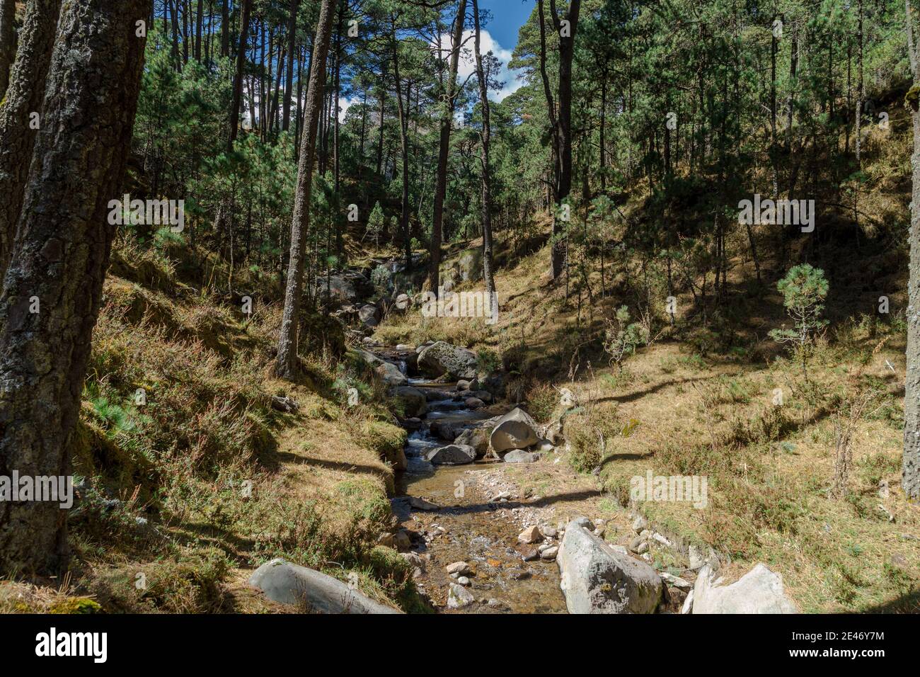 Narrow river surrounded by rocks and trees in the Iztaccihuatl Mountain ...