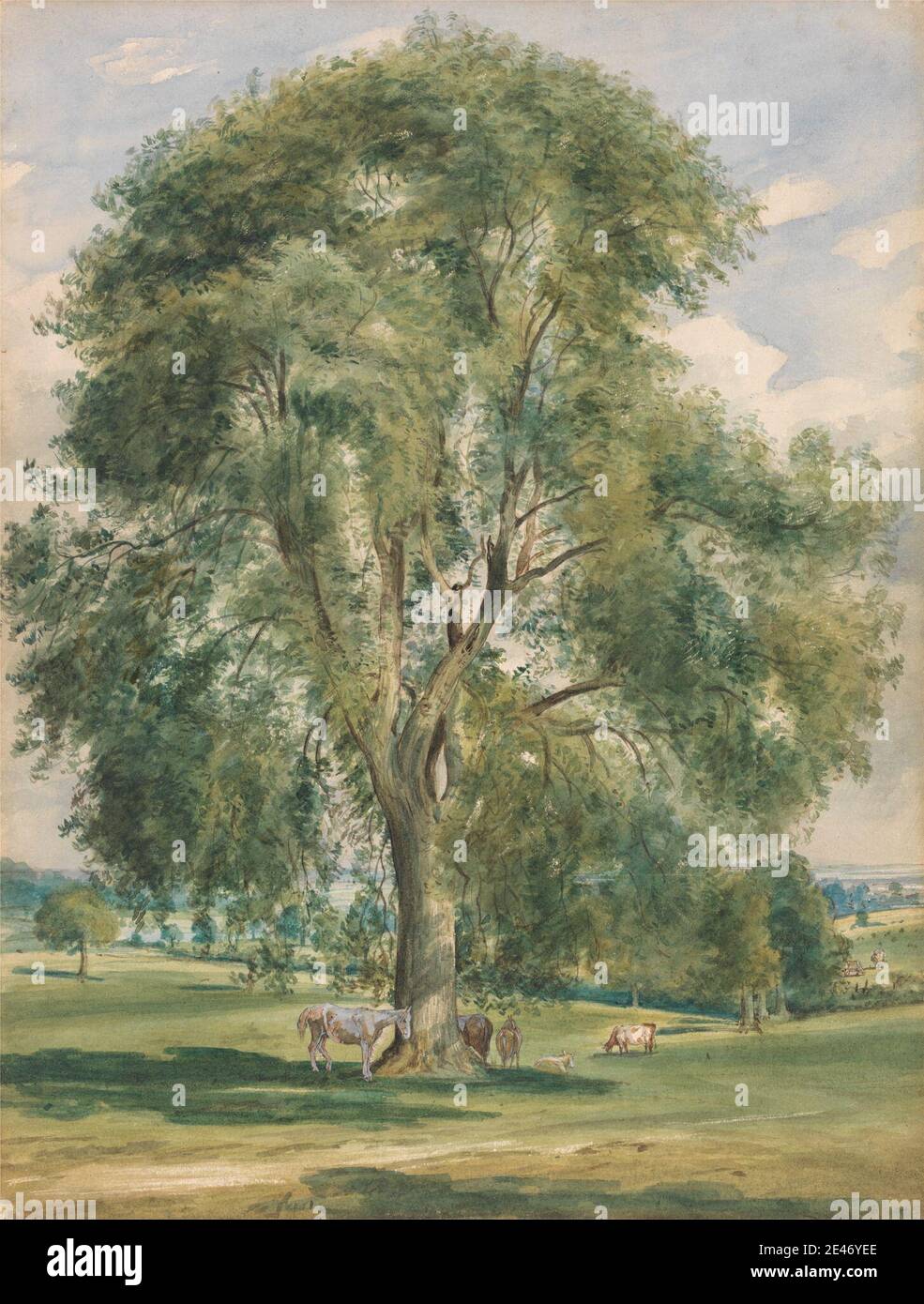Lionel Constable, 1828–1887, British, A Large Tree in a Summer ...