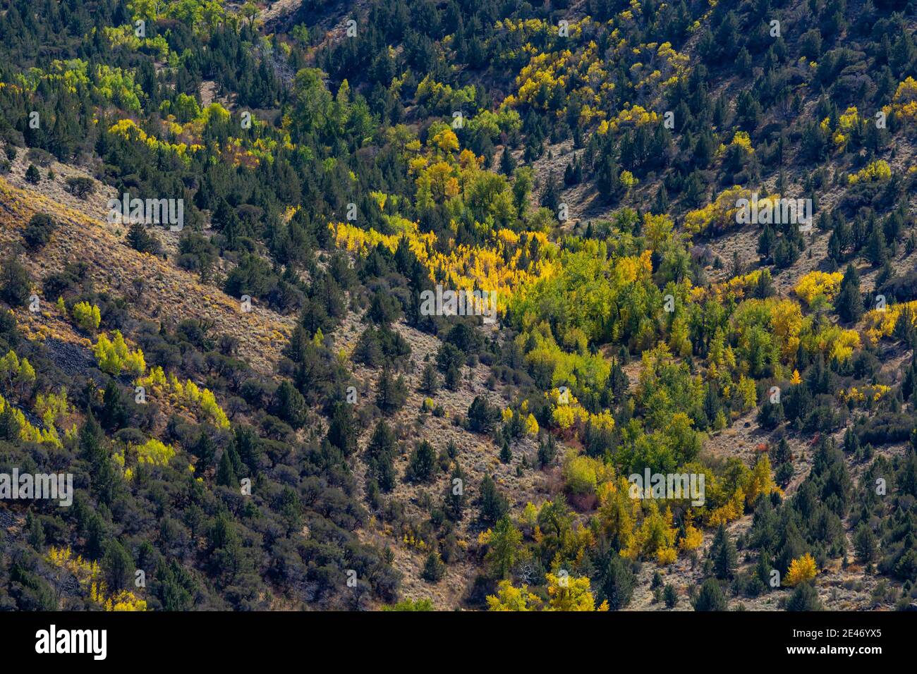 Big Indian Gorge High Resolution Stock Photography and Images - Alamy