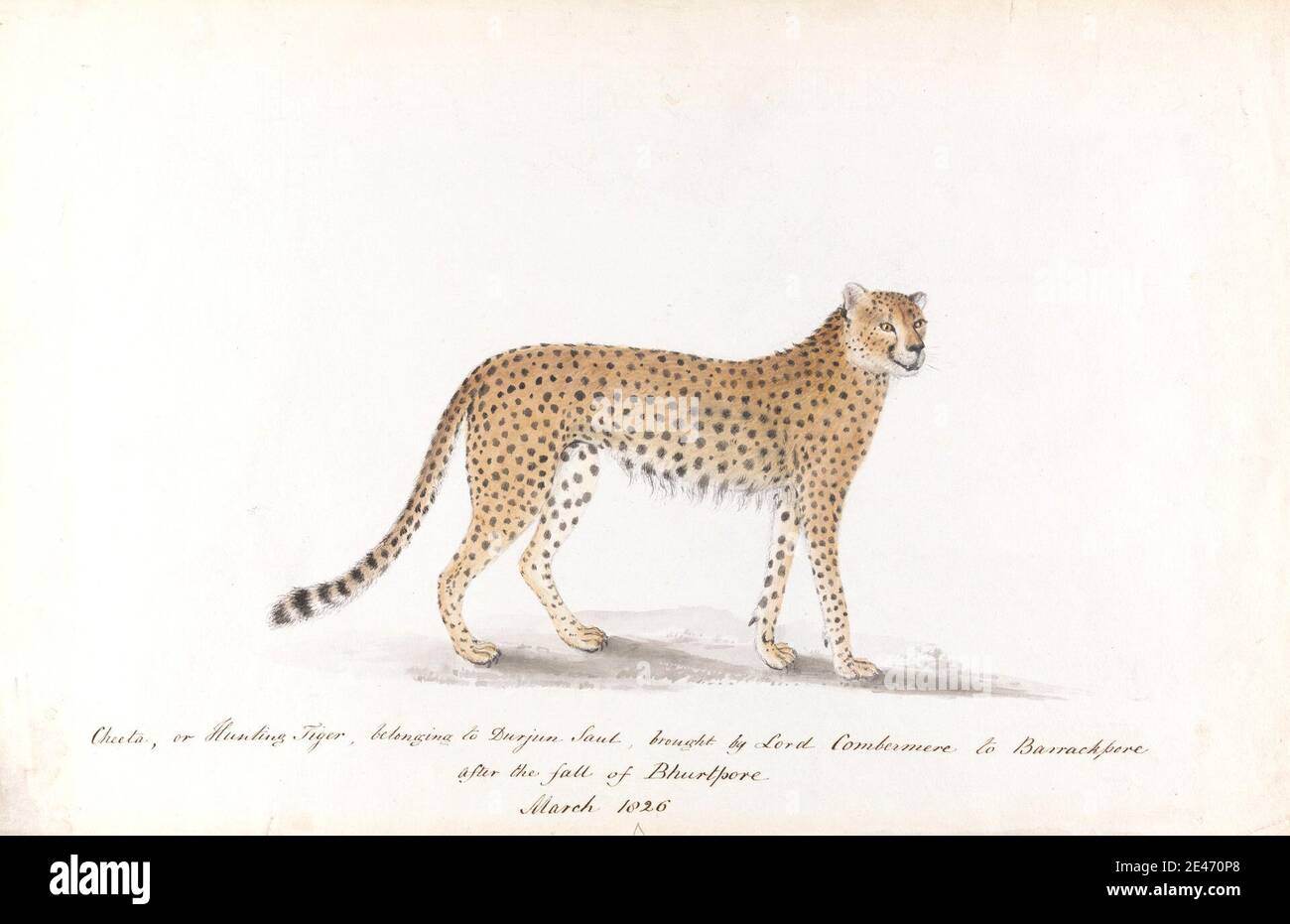 Lord combermere hi-res stock photography and images - Alamy