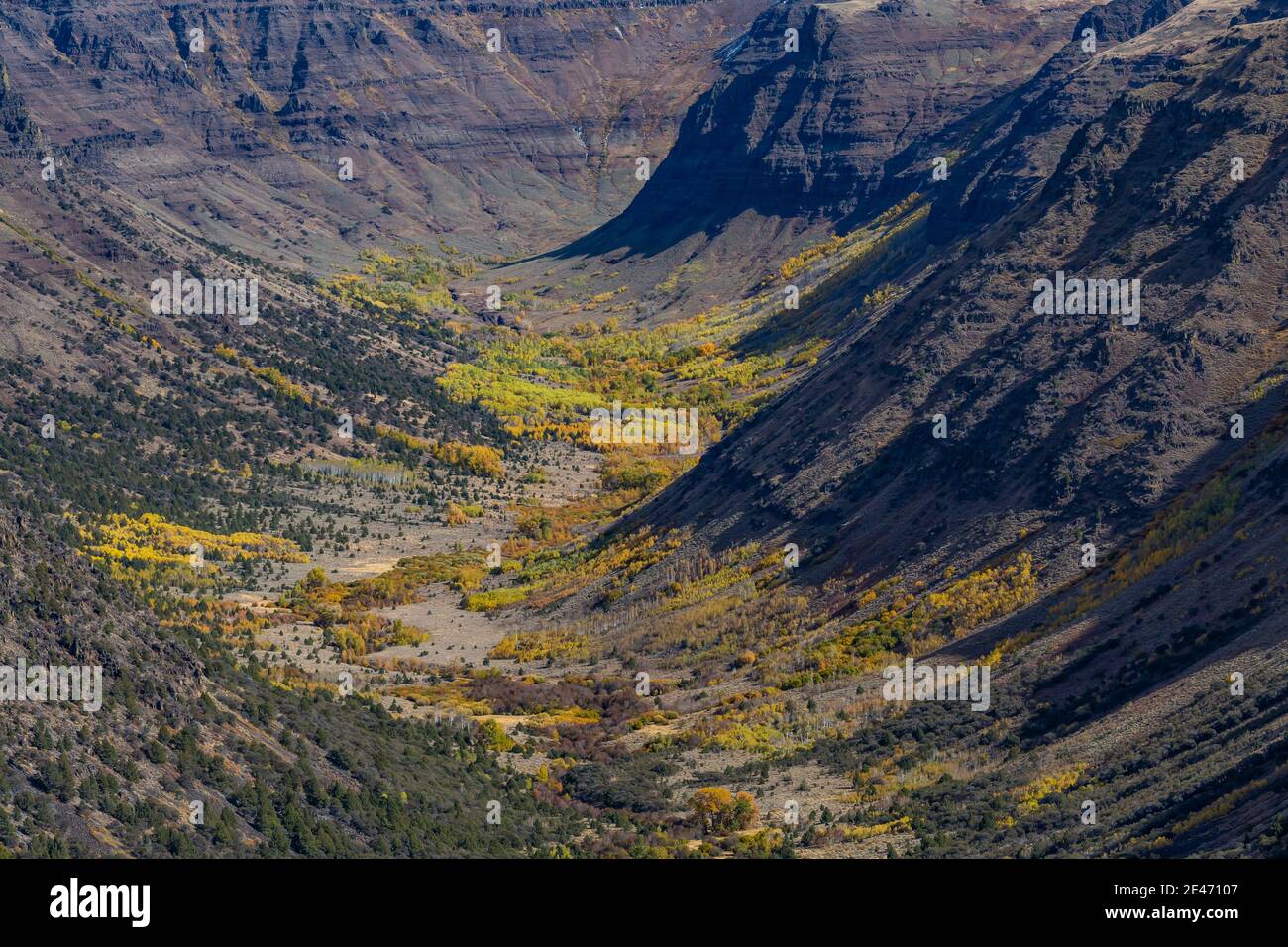 Looking into glacially carved Big Indian Gorge on Steens Mountain ...
