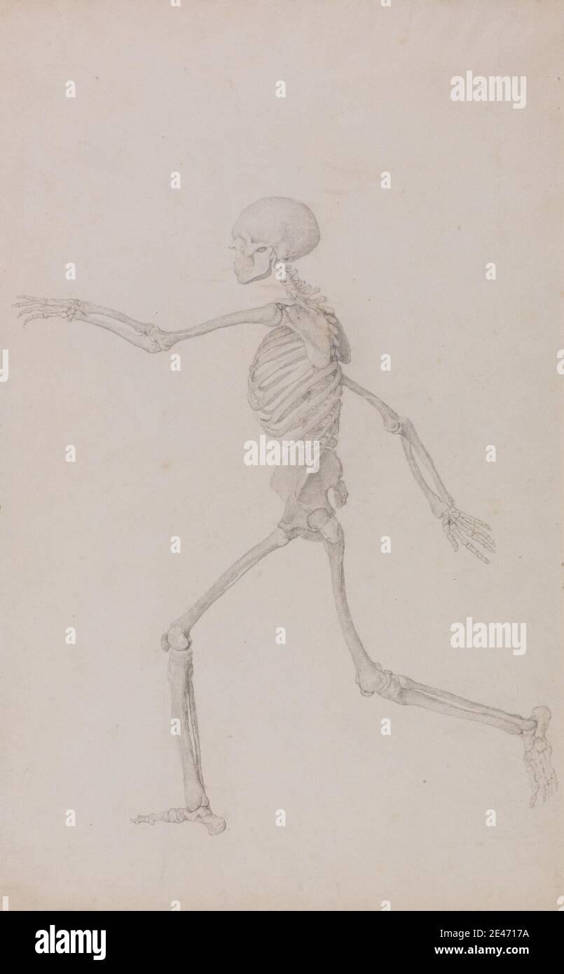 George Stubbs, 1724–1806, British, Human Skeleton, Lateral View Seen ...