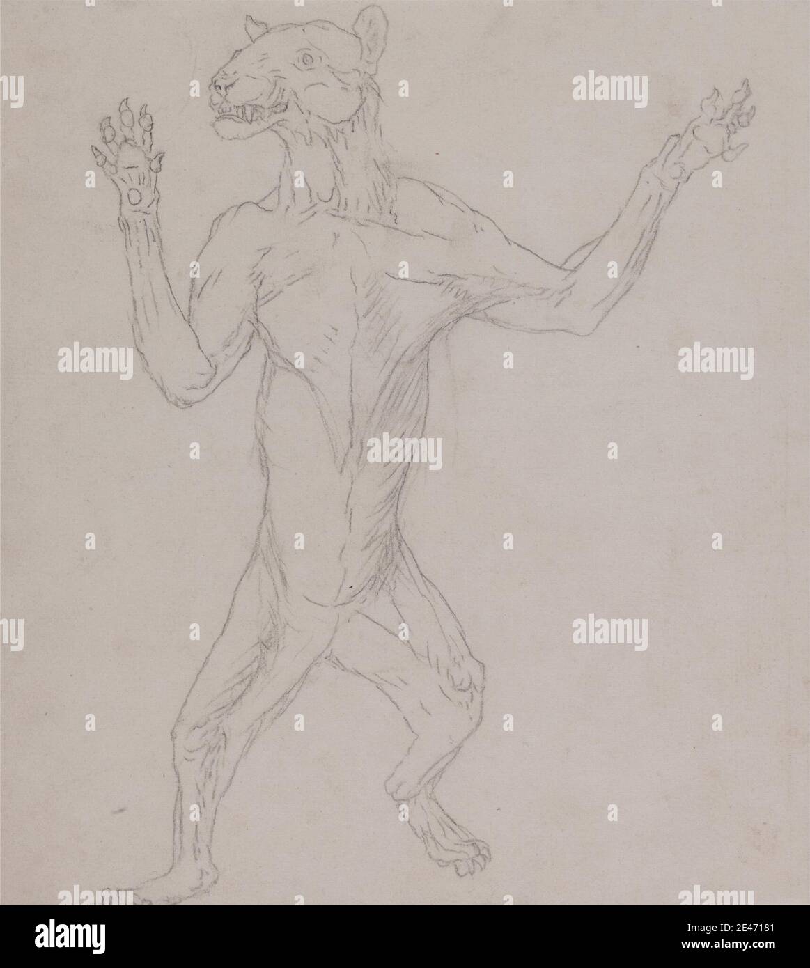 George Stubbs, 1724–1806, British, Tiger Body, Standing in Human ...