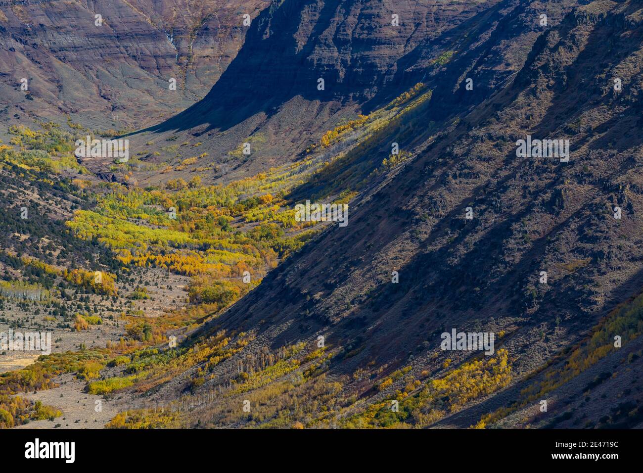 Looking into glacially carved Big Indian Gorge on Steens Mountain ...