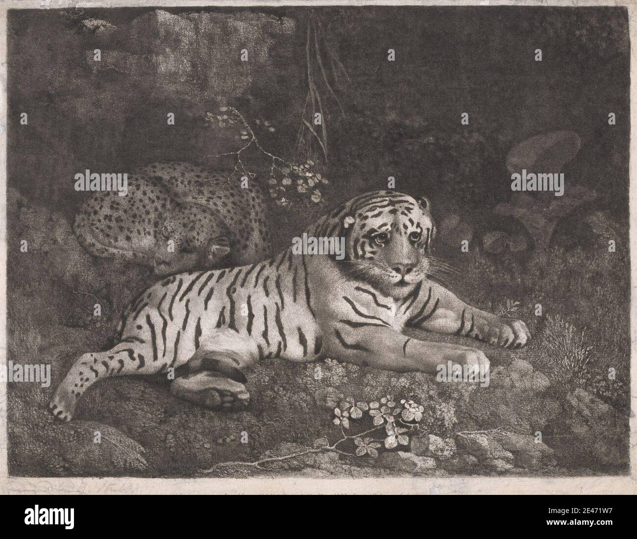 George stubbs tiger leopard hi-res stock photography and images - Alamy
