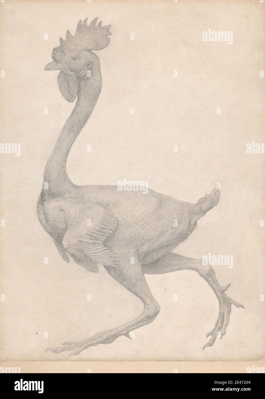 George Stubbs, 1724–1806, British, Fowl, Lateral View with Most ...